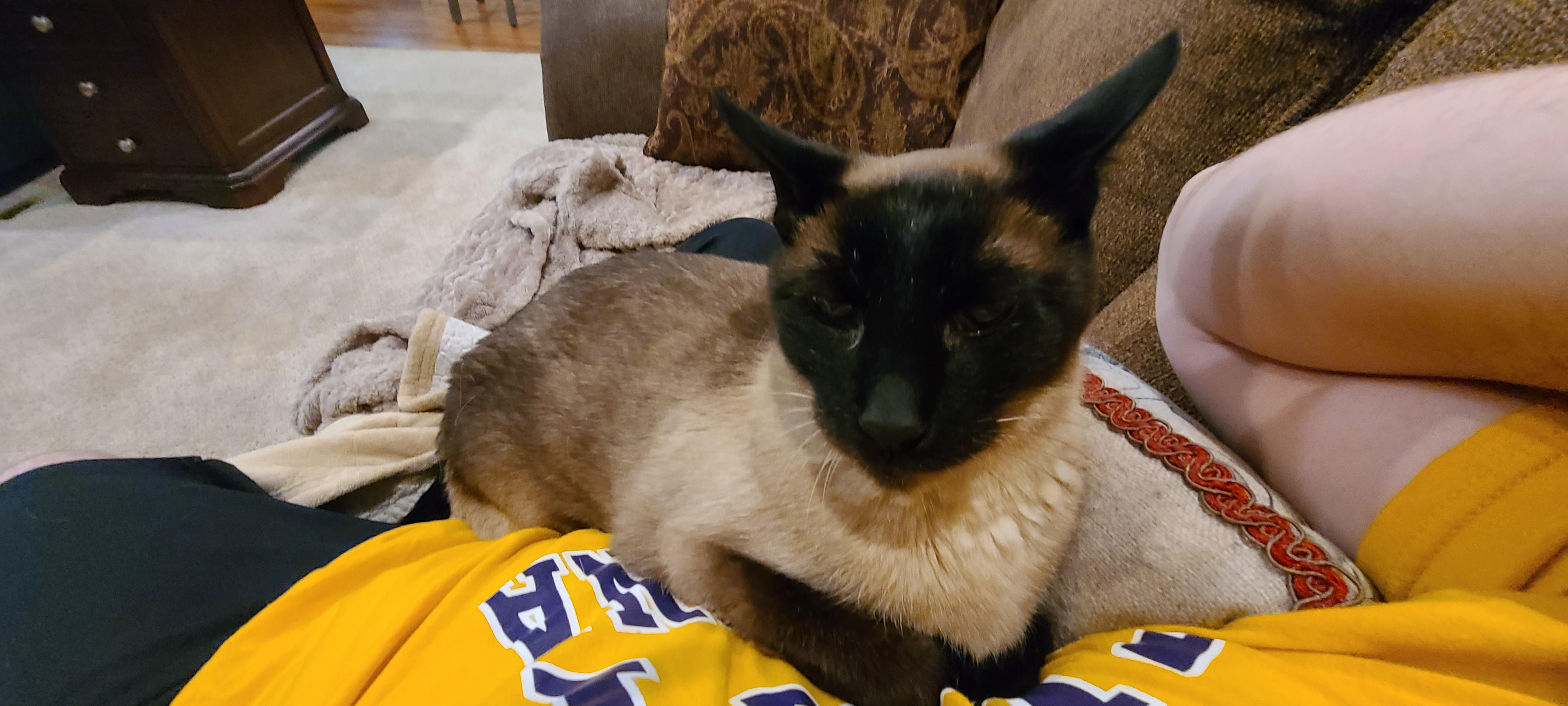 18 year old loaf | Scrolller