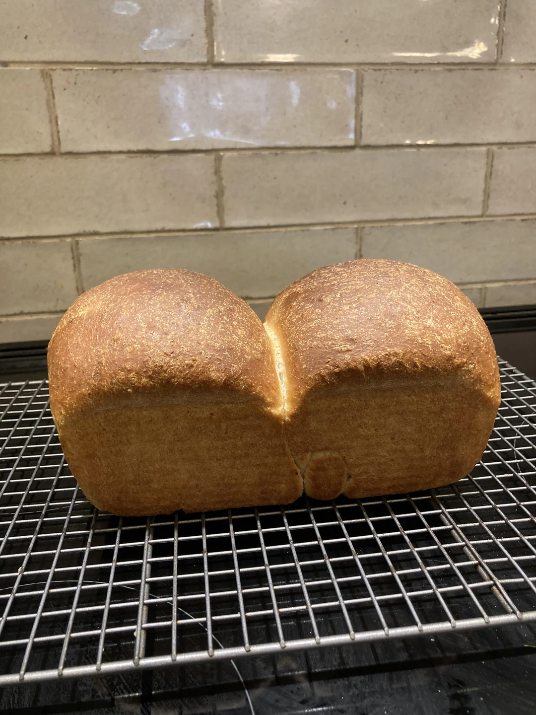 Bread | Scrolller
