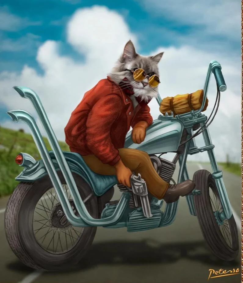 Easy Rider | Scrolller