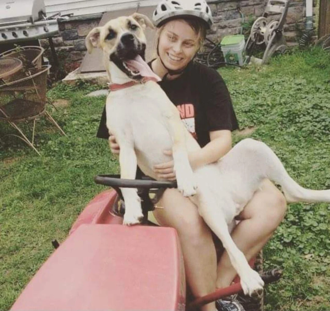 Two derps | Scrolller