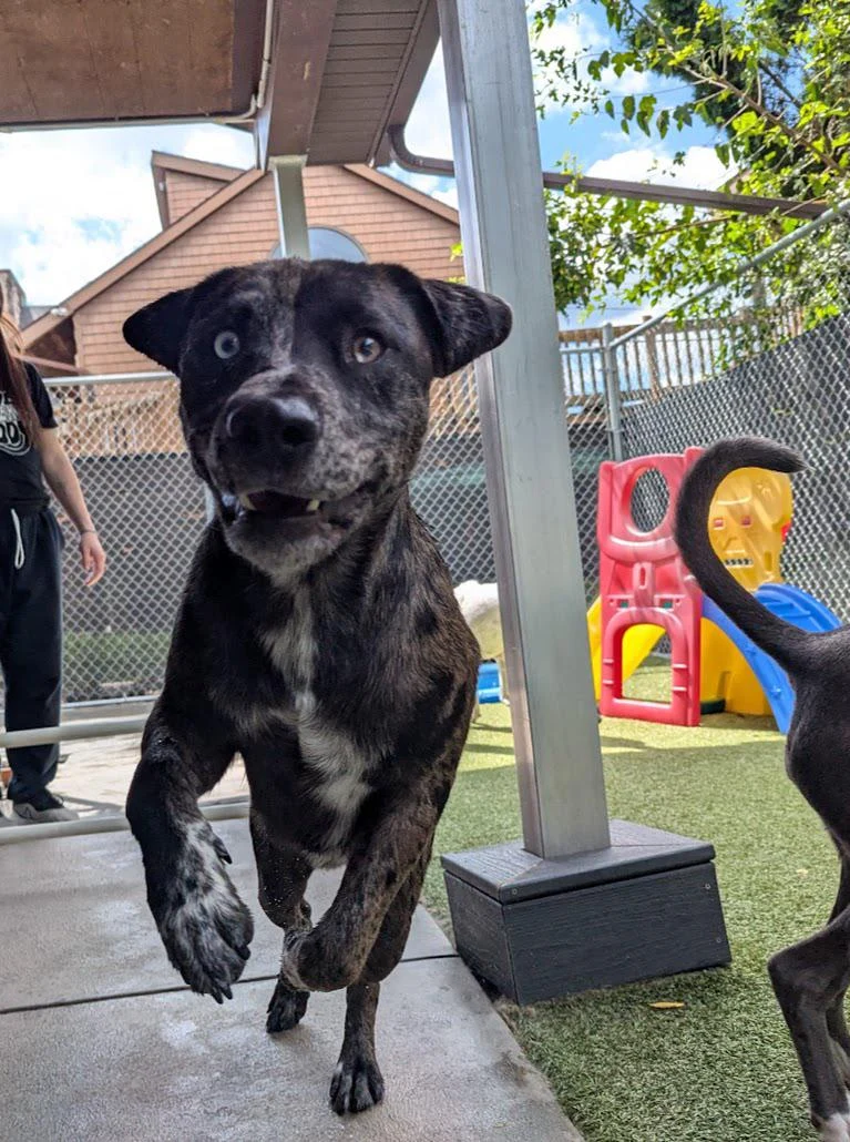 POV You’re A Squirrel | Scrolller