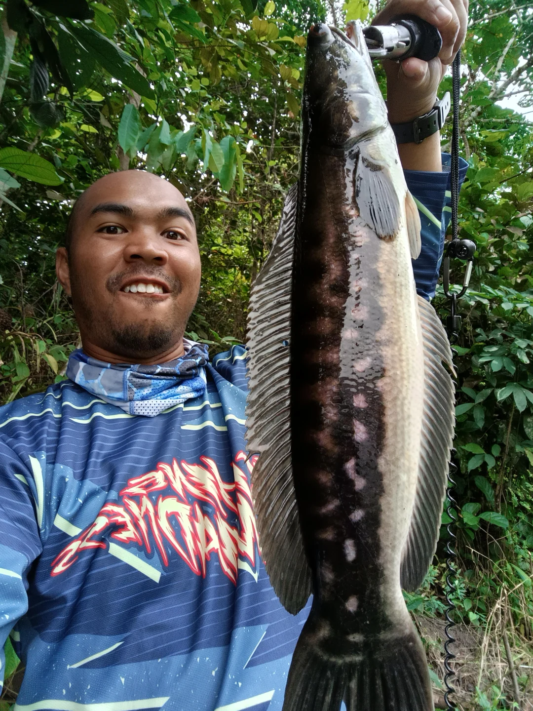 Weekly Catch - Giant Snakehead | Scrolller