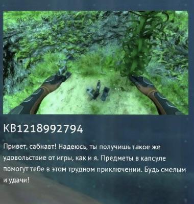 Time Capsule Translation | Scrolller