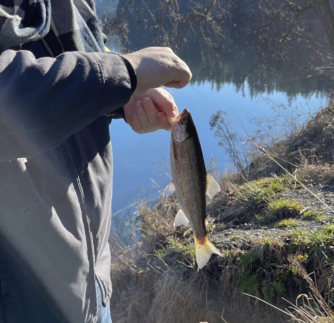 Success! | Scrolller