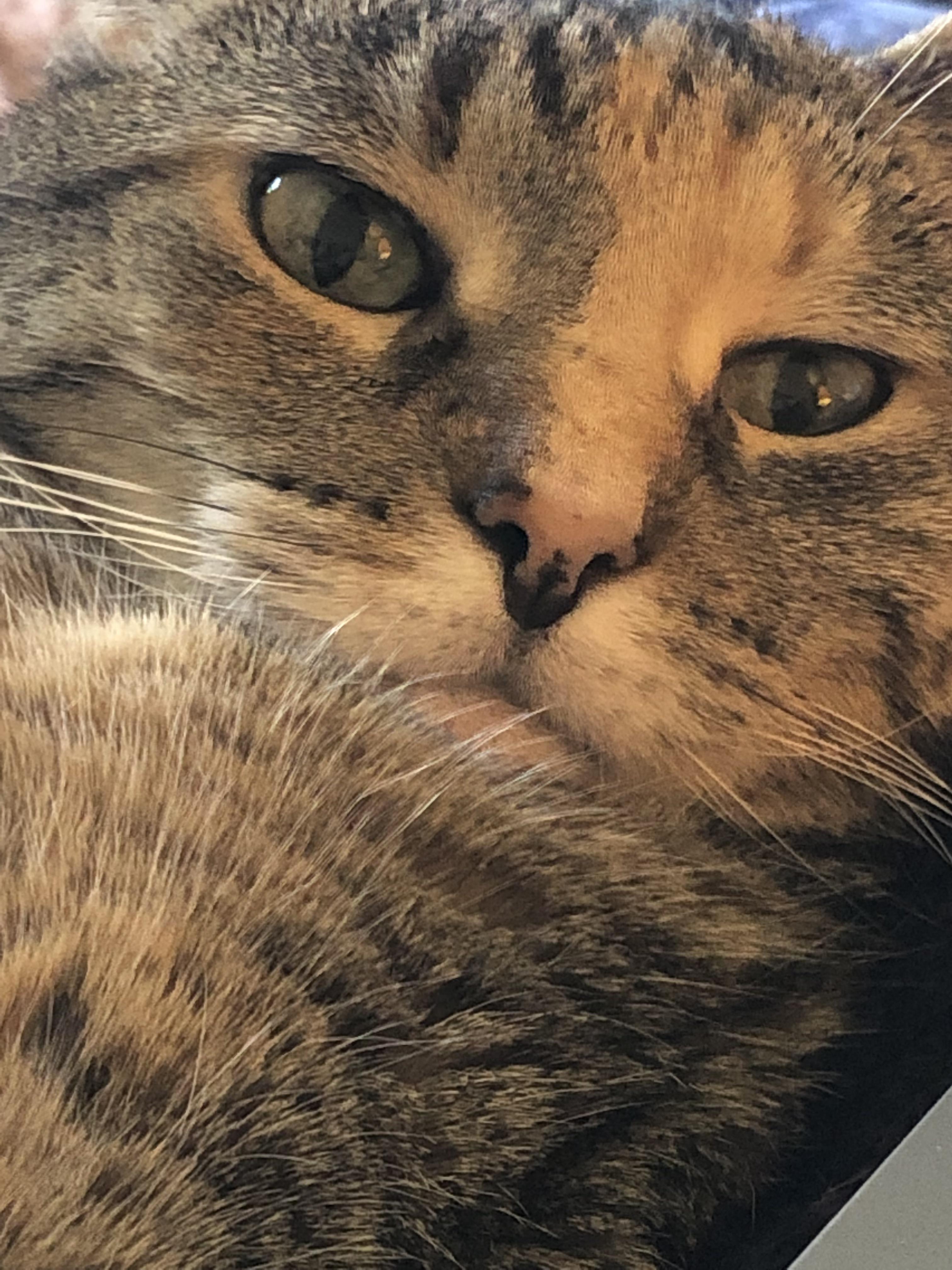 I love her expressions, and her pink and black nose | Scrolller