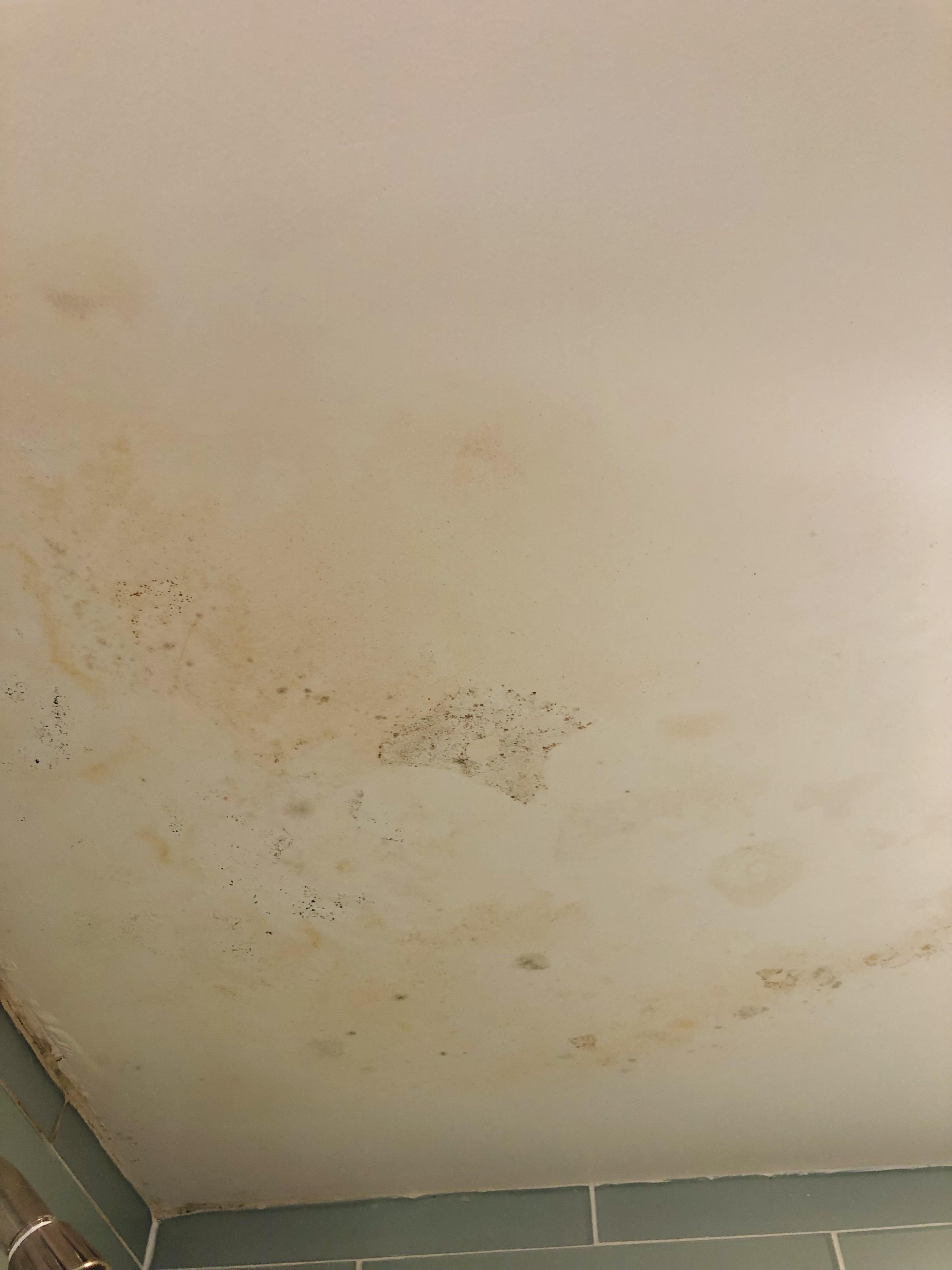 Is it Mold? First time homeowner dilemma. | Scrolller