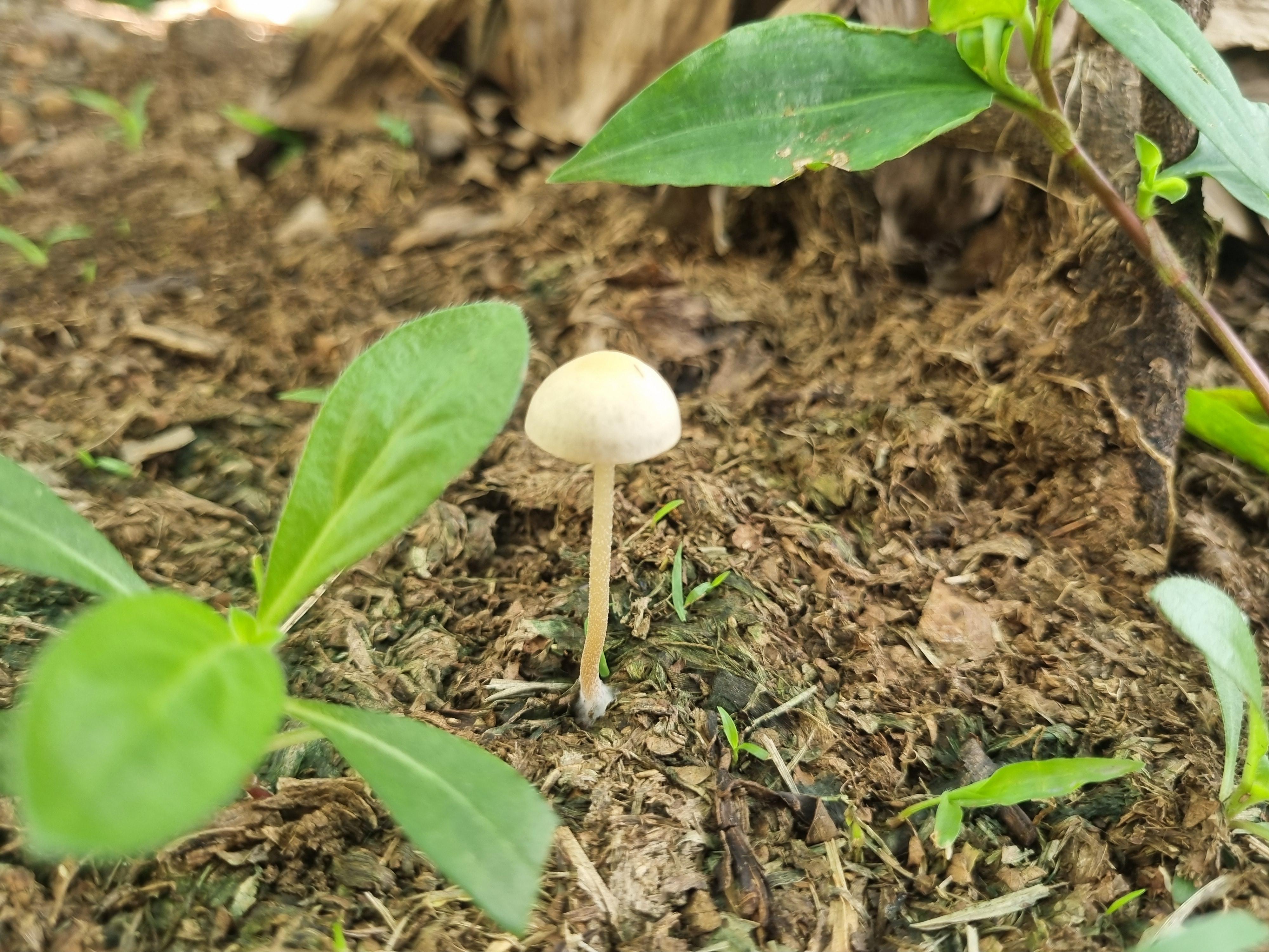 Are these magic? | Scrolller