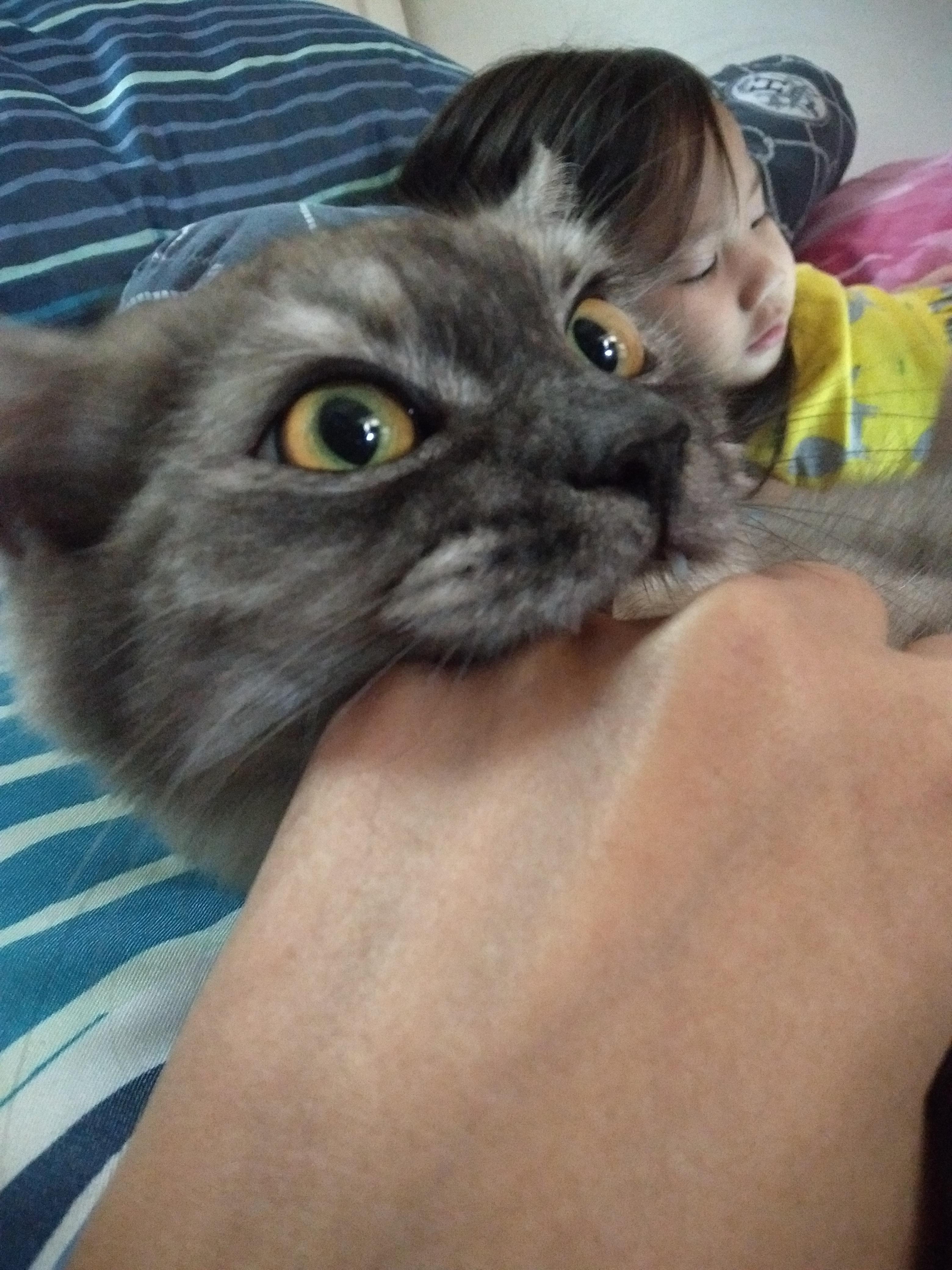 Discover more like Aww: [OC] Literally aww- and Related Content | Scrolller