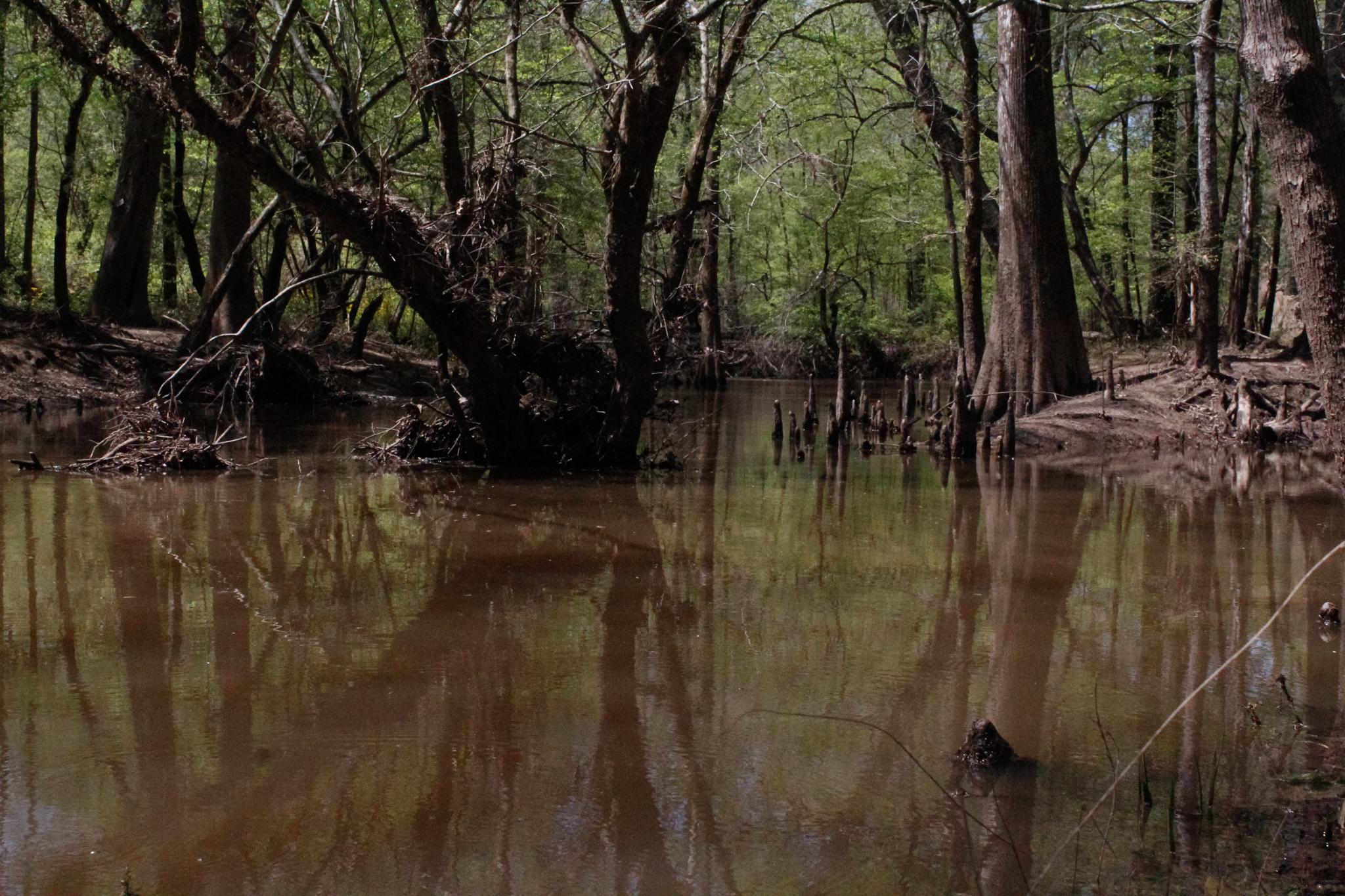 Center, Tx | Scrolller