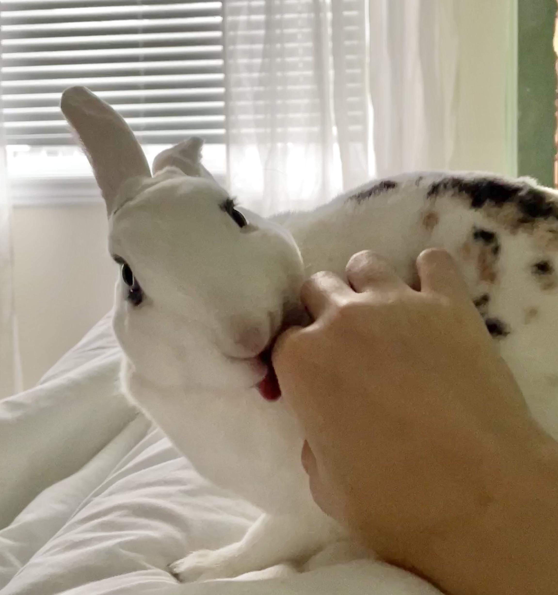 The last photos I got of my Juno | Scrolller