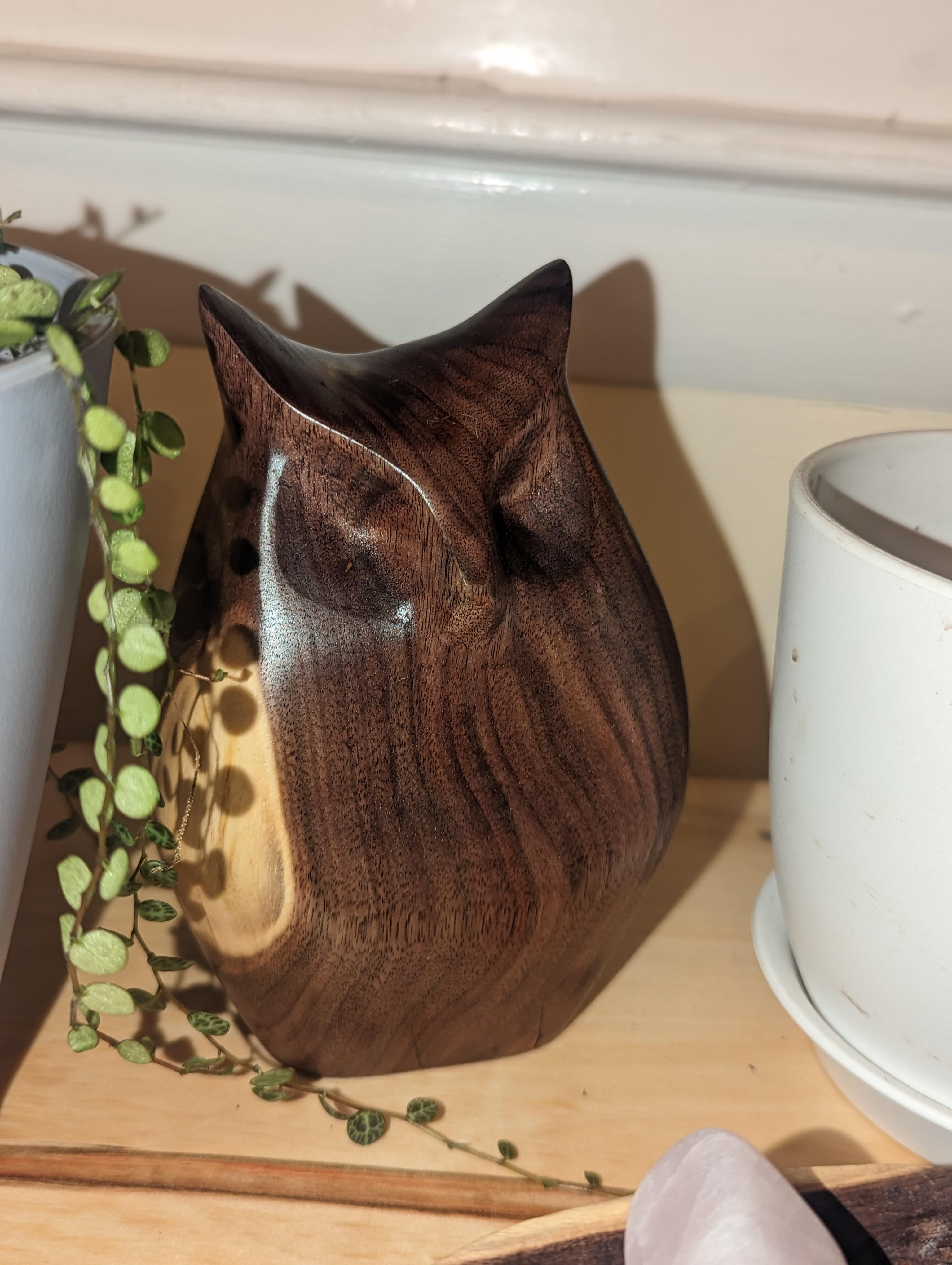 Black Walnut owl I carved | Scrolller