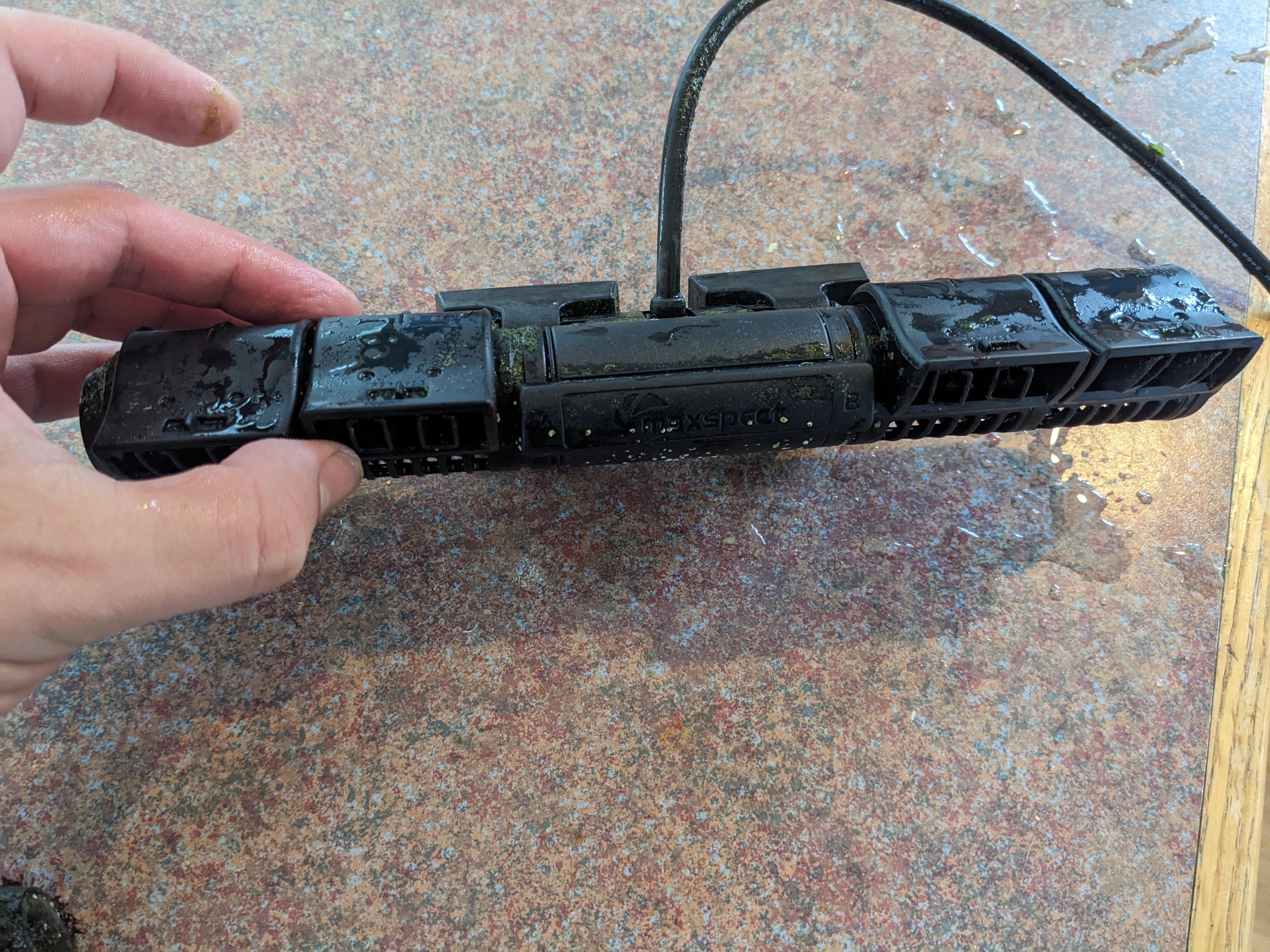 A reminder to... go clean your pumps 👀 | Scrolller