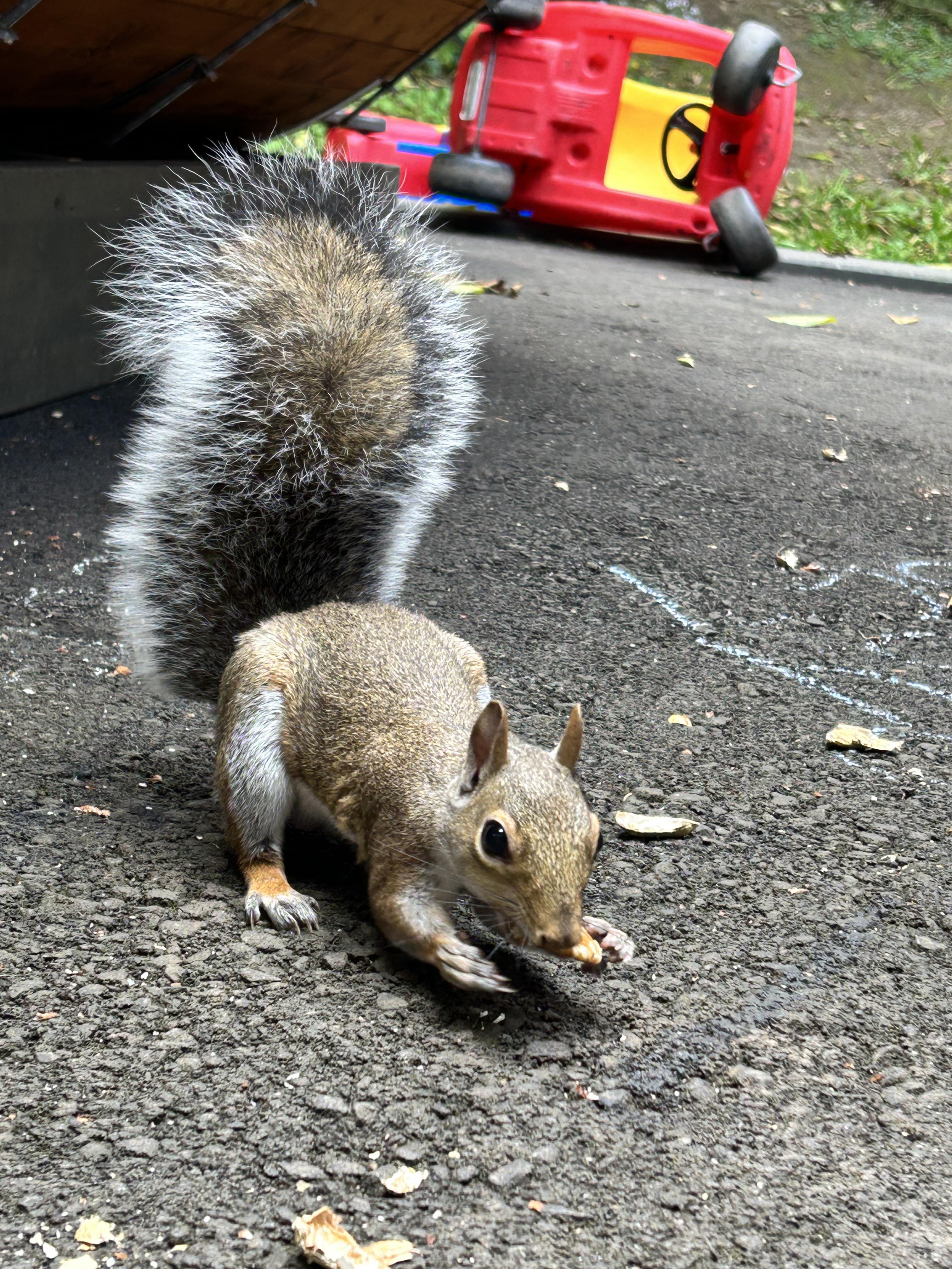 Peter action shots | Scrolller