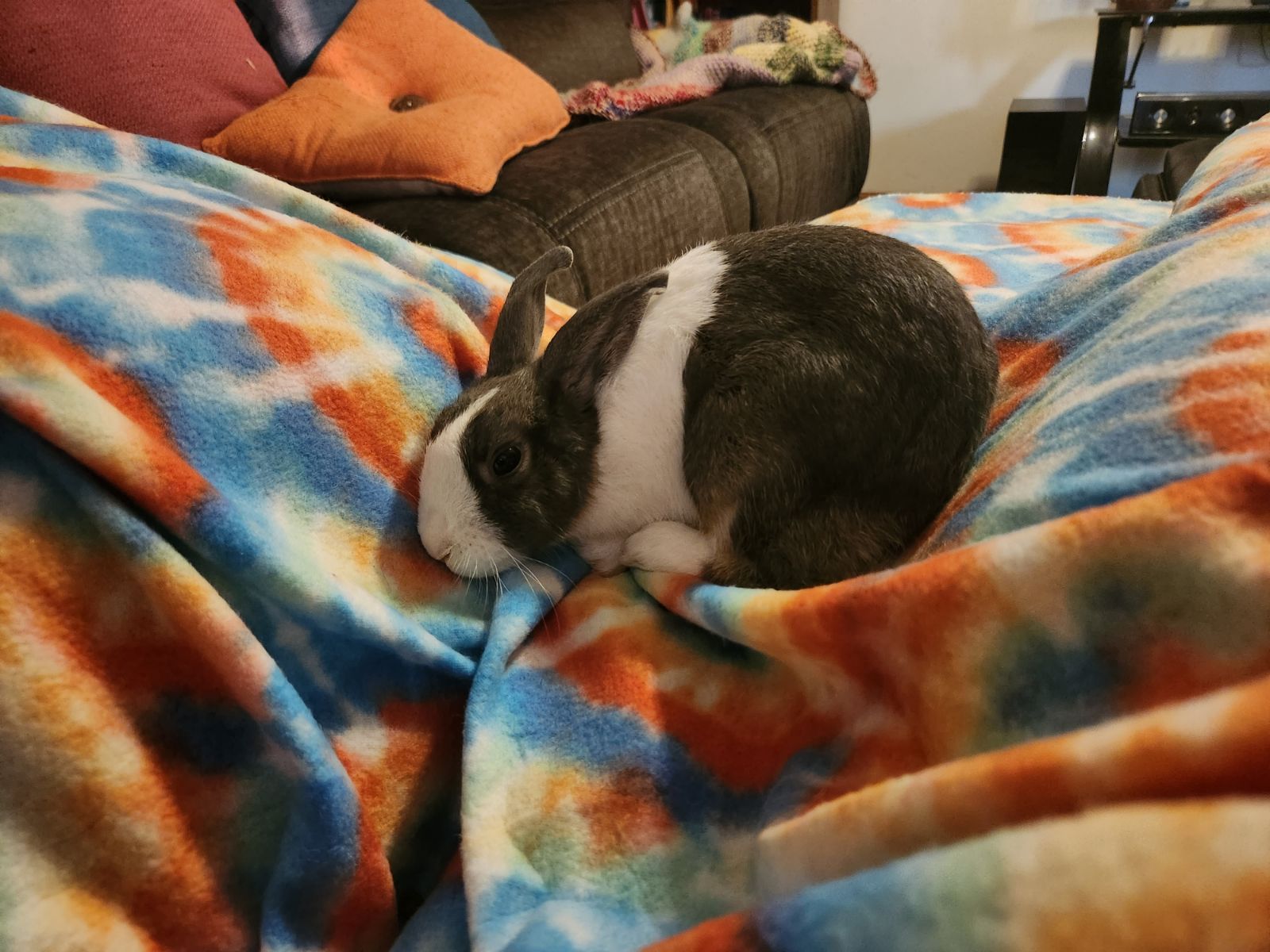 Ode to Erika | Scrolller