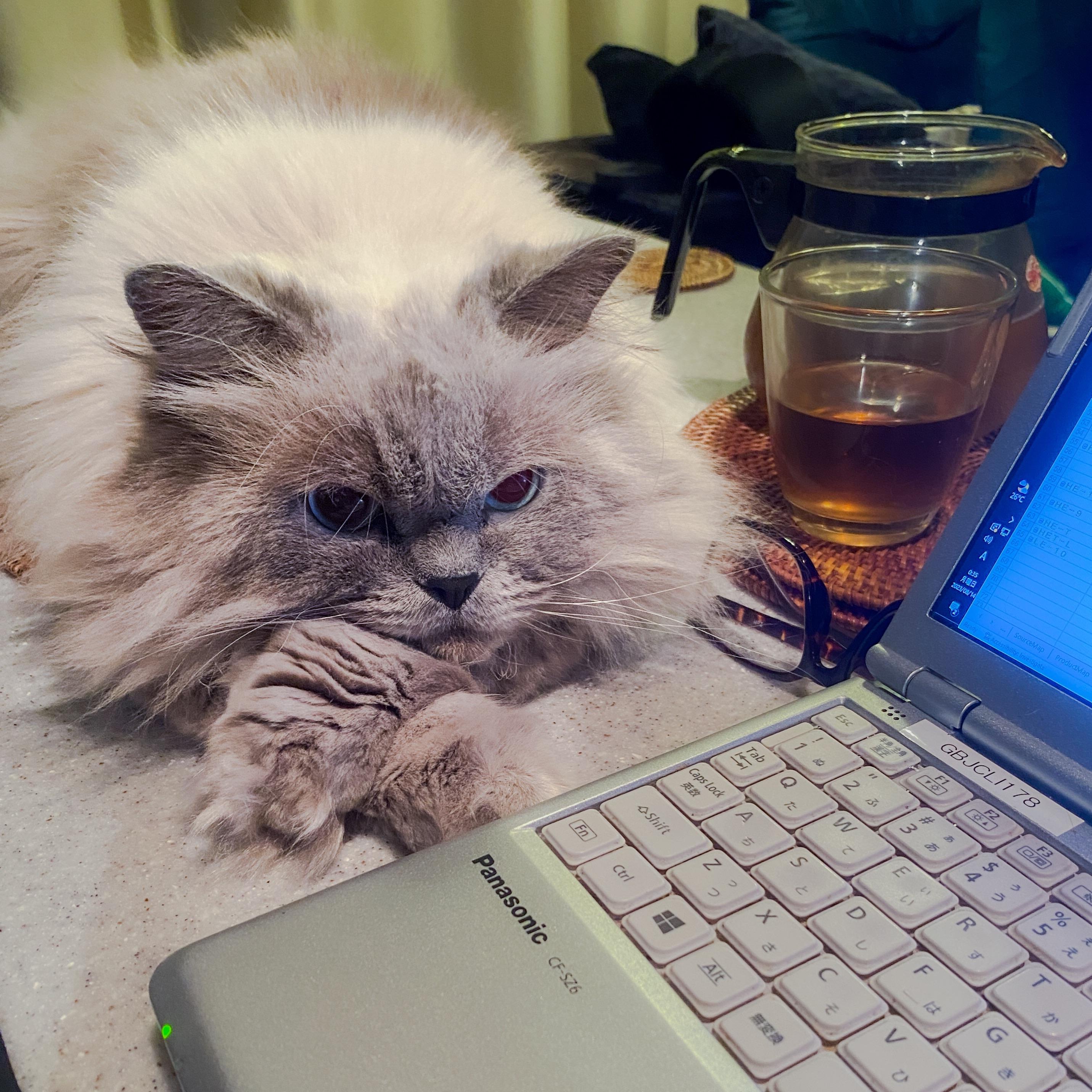 There was a boy. A very strange, enchanted boy / A little shy, and sad of eye. But very wise was ...