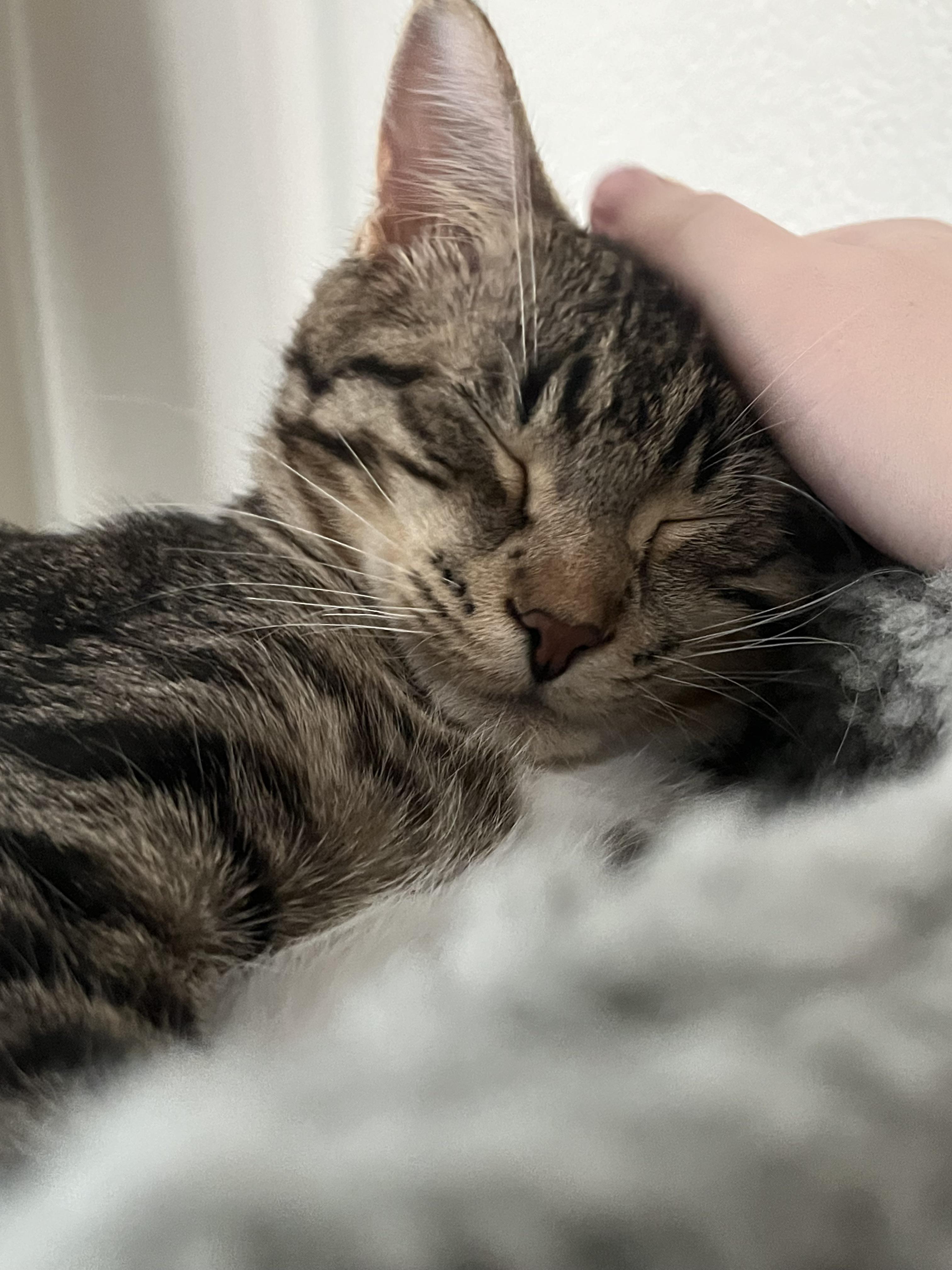 My pretty baby and his toe beans | Scrolller