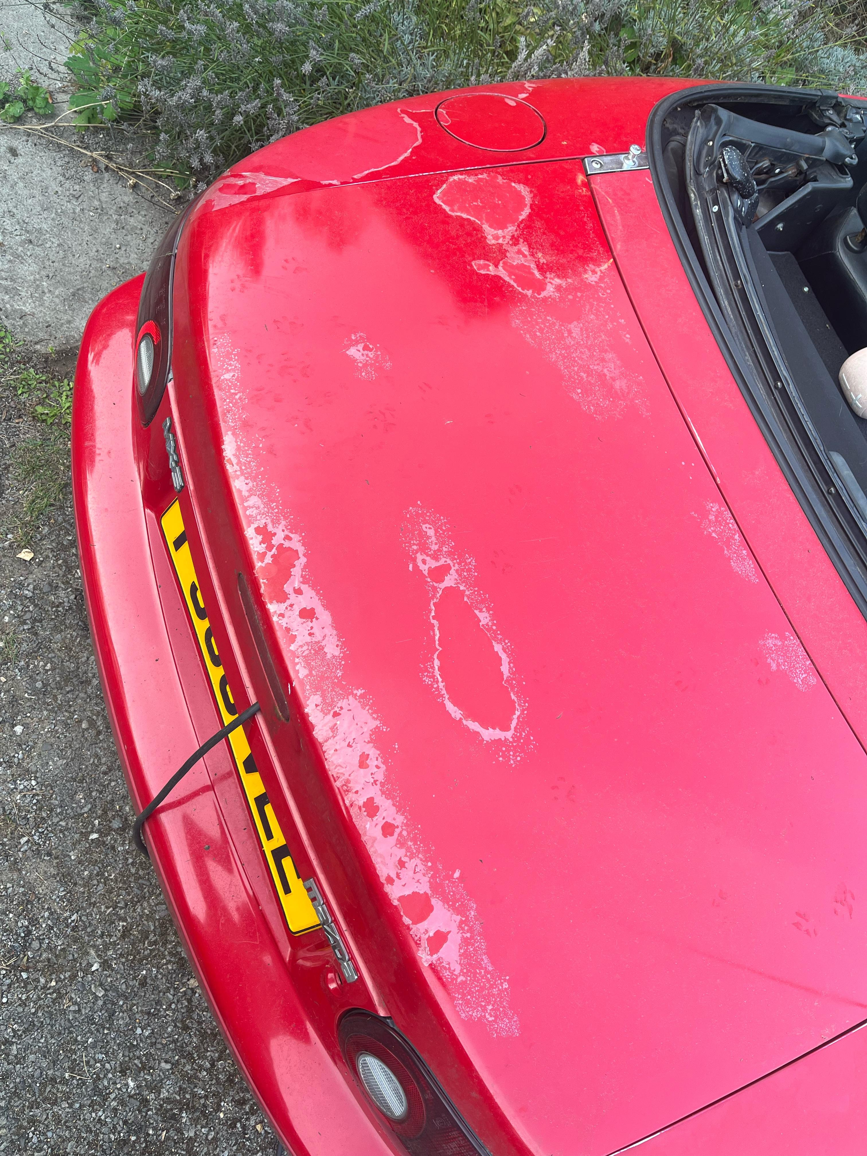 Paint restoration | Scrolller