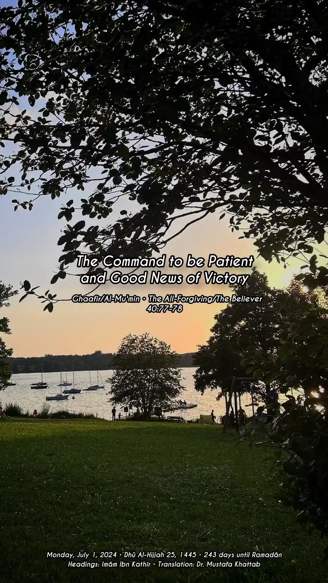 40:77-78 | Scrolller