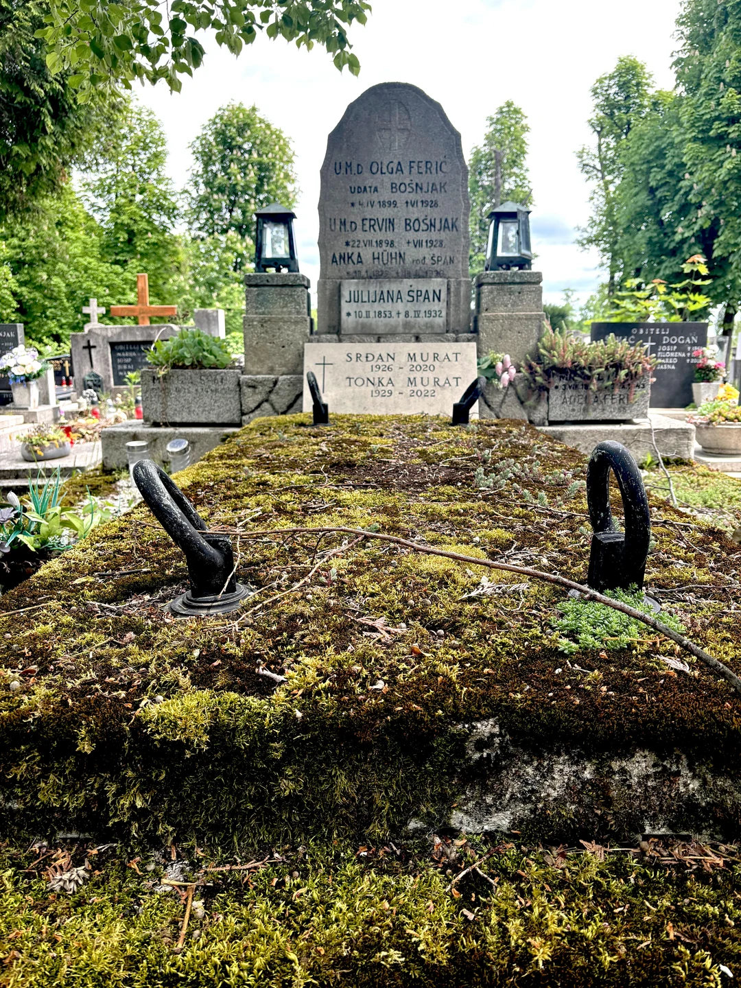 Grave moss | Scrolller