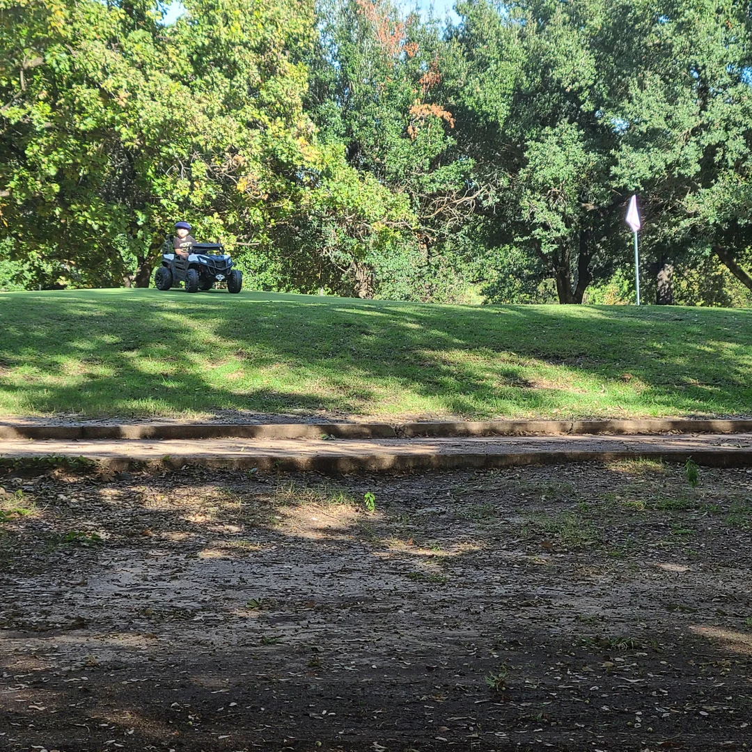 Local Muni Doubles As A Playground Scrolller