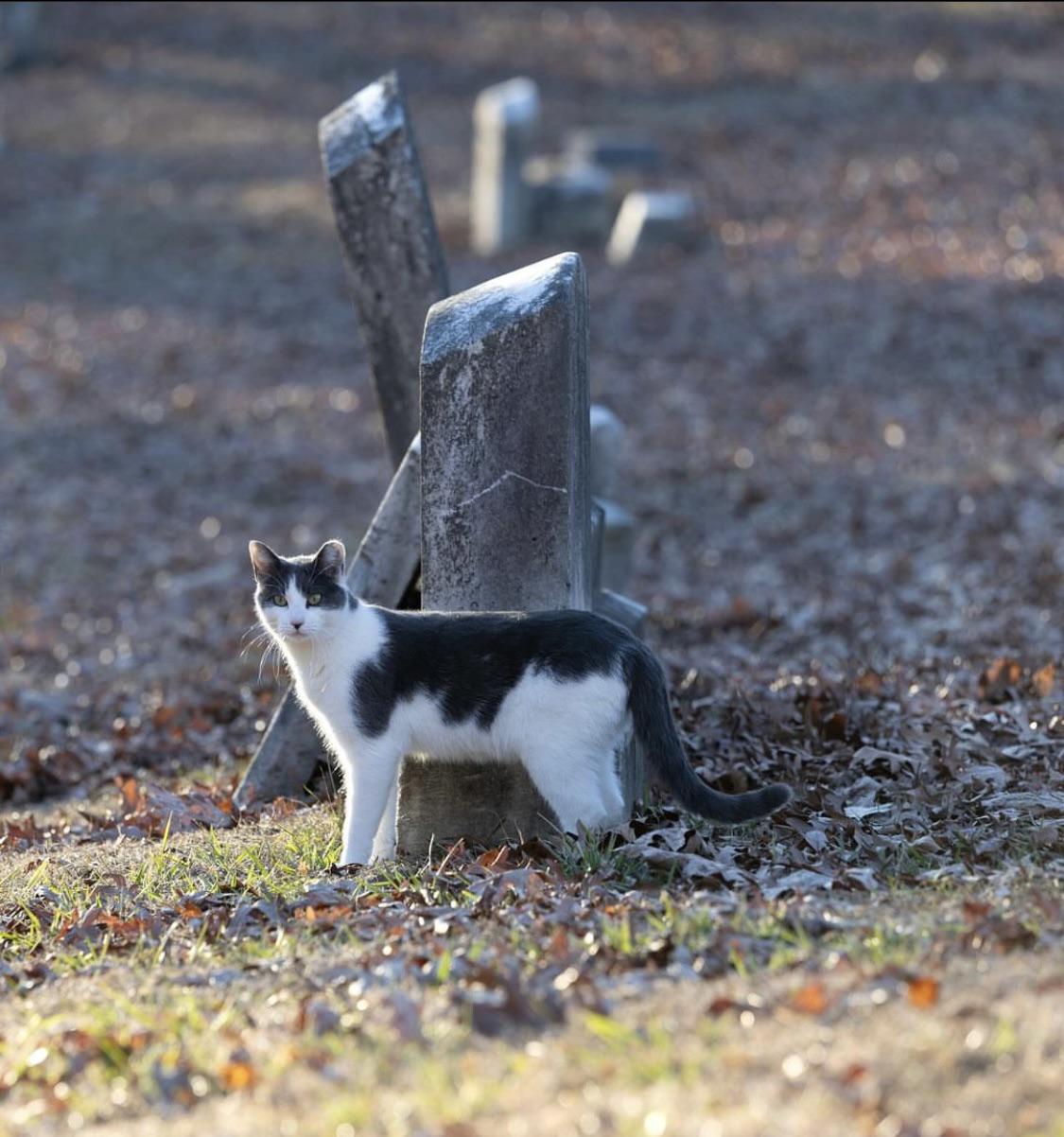 OC Catonsville MD | Scrolller