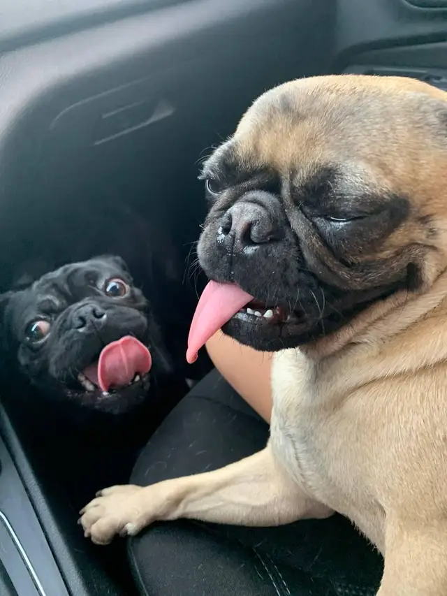 Bonding time. Play day. | Scrolller