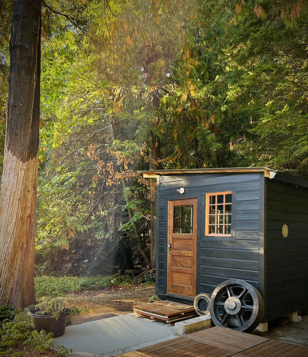 island bunkie cabin | Scrolller