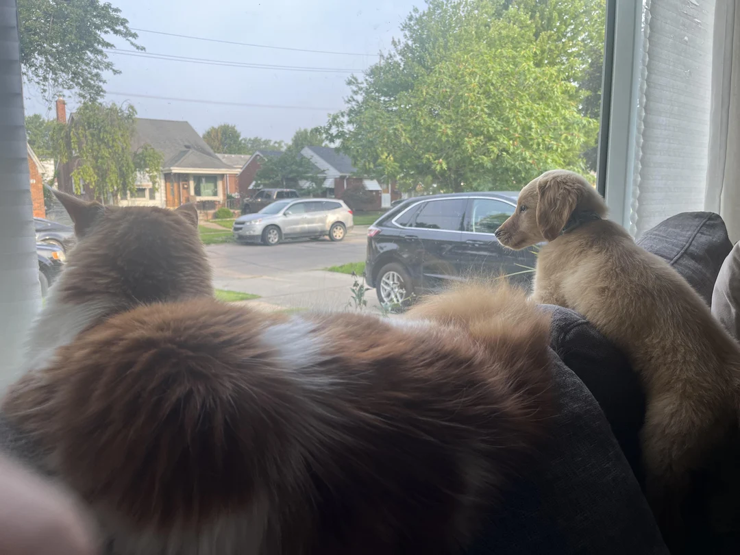 Look at the size difference | Scrolller