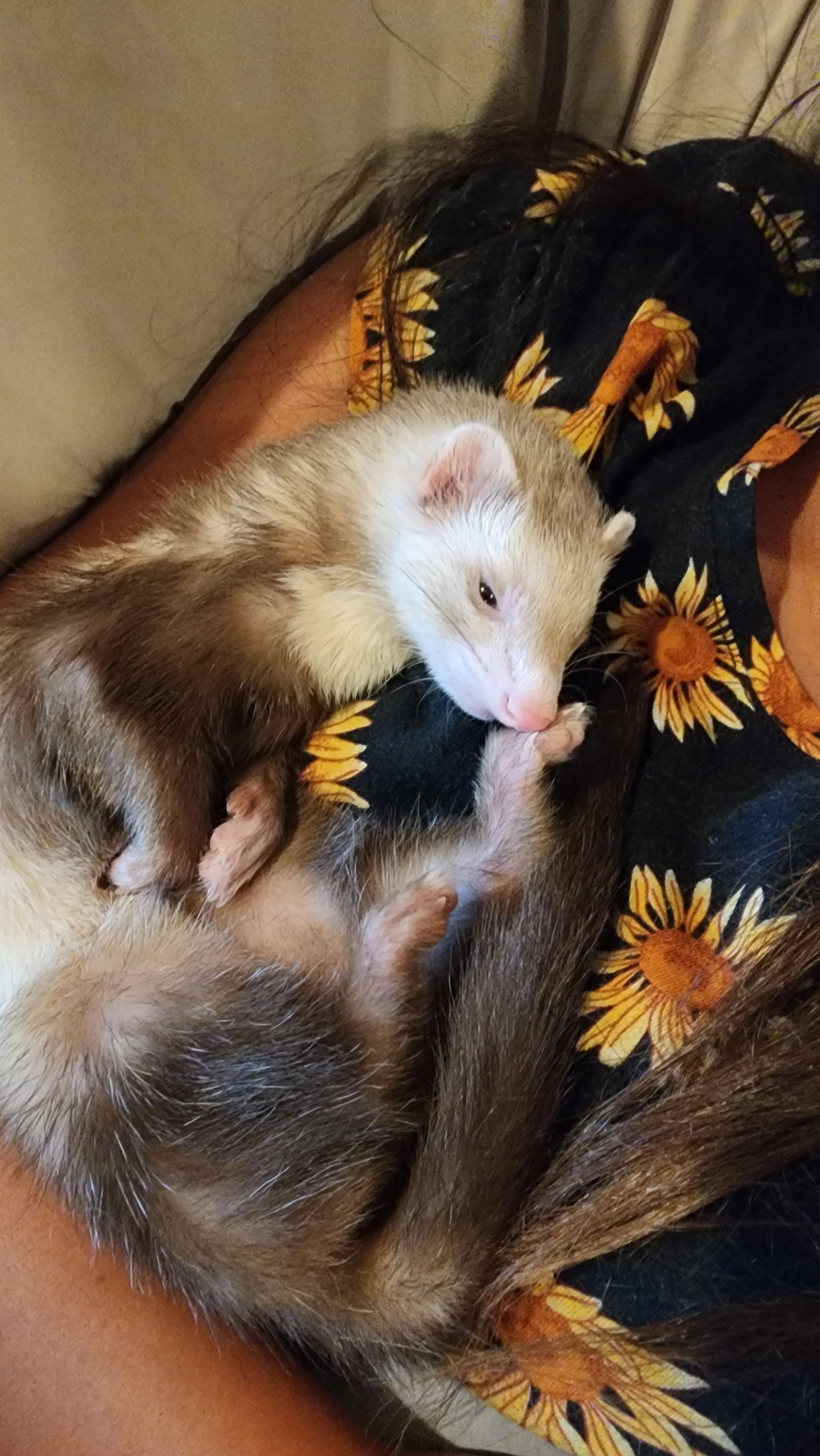 Cactus 🌵 | Scrolller