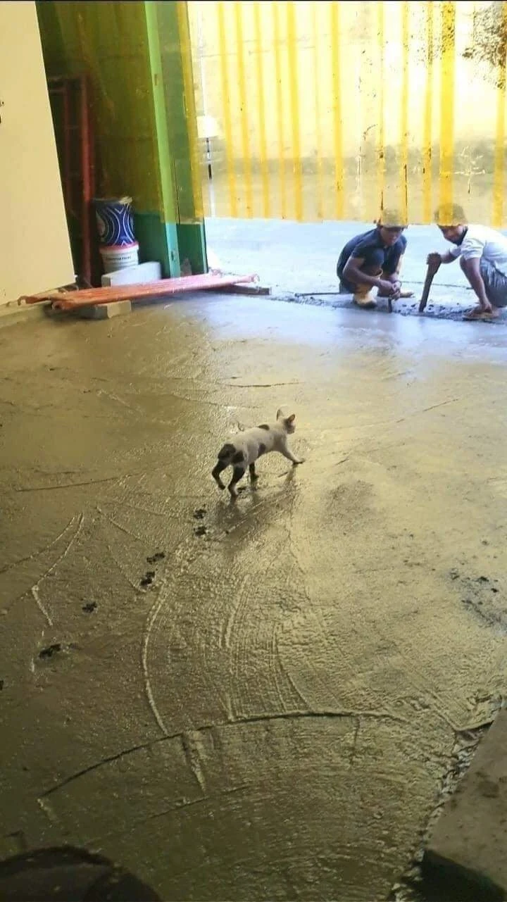 Hey! Whatcha doing there? | Scrolller