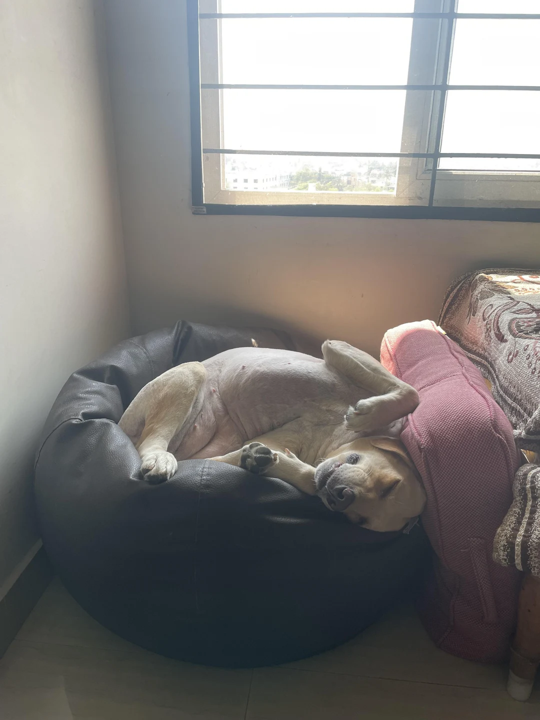 How to sleep on a bean bag! | Scrolller