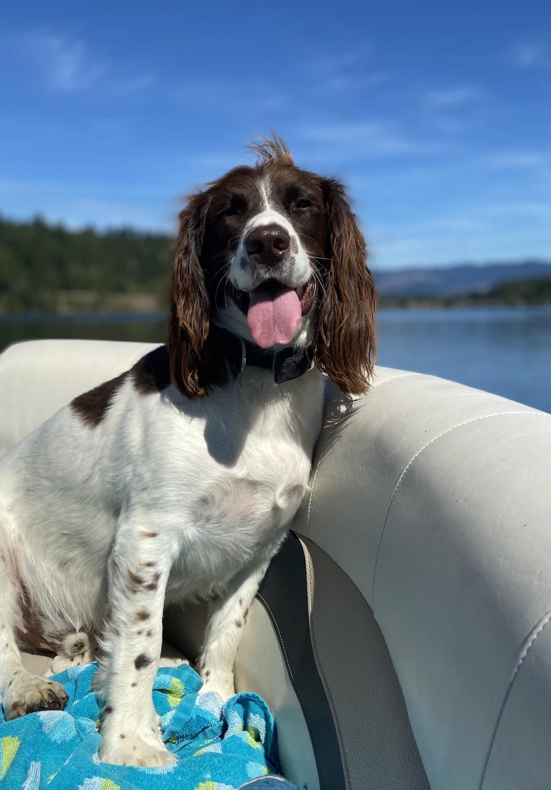 Missing summertime | Scrolller