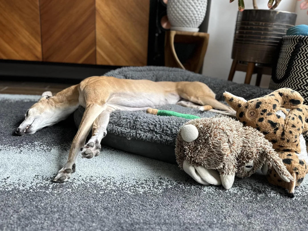 Saturday Vibes With Ellie Scrolller