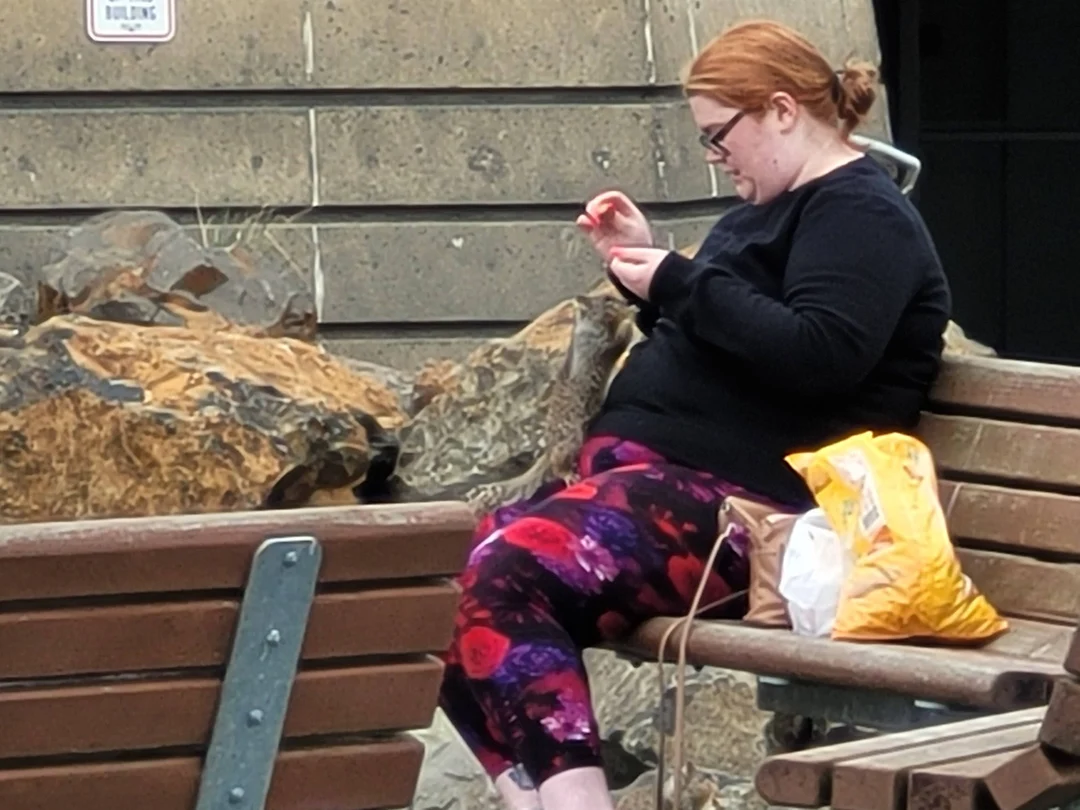 Squirrels in Rockaway Beach in Oregon are super tame. | Scrolller