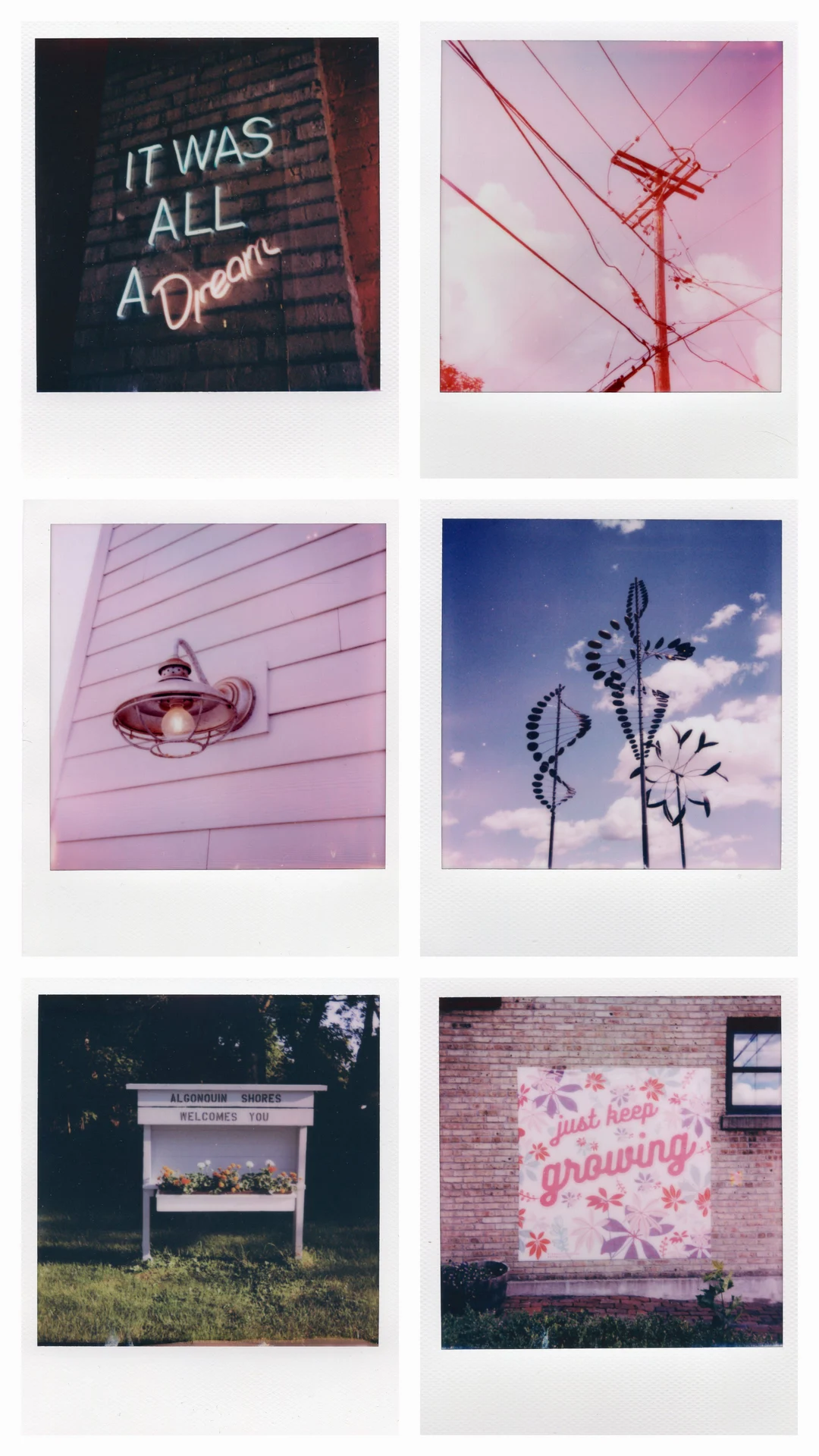 A collection of recent shots using a Polaroid Now with i-Type film | Scrolller