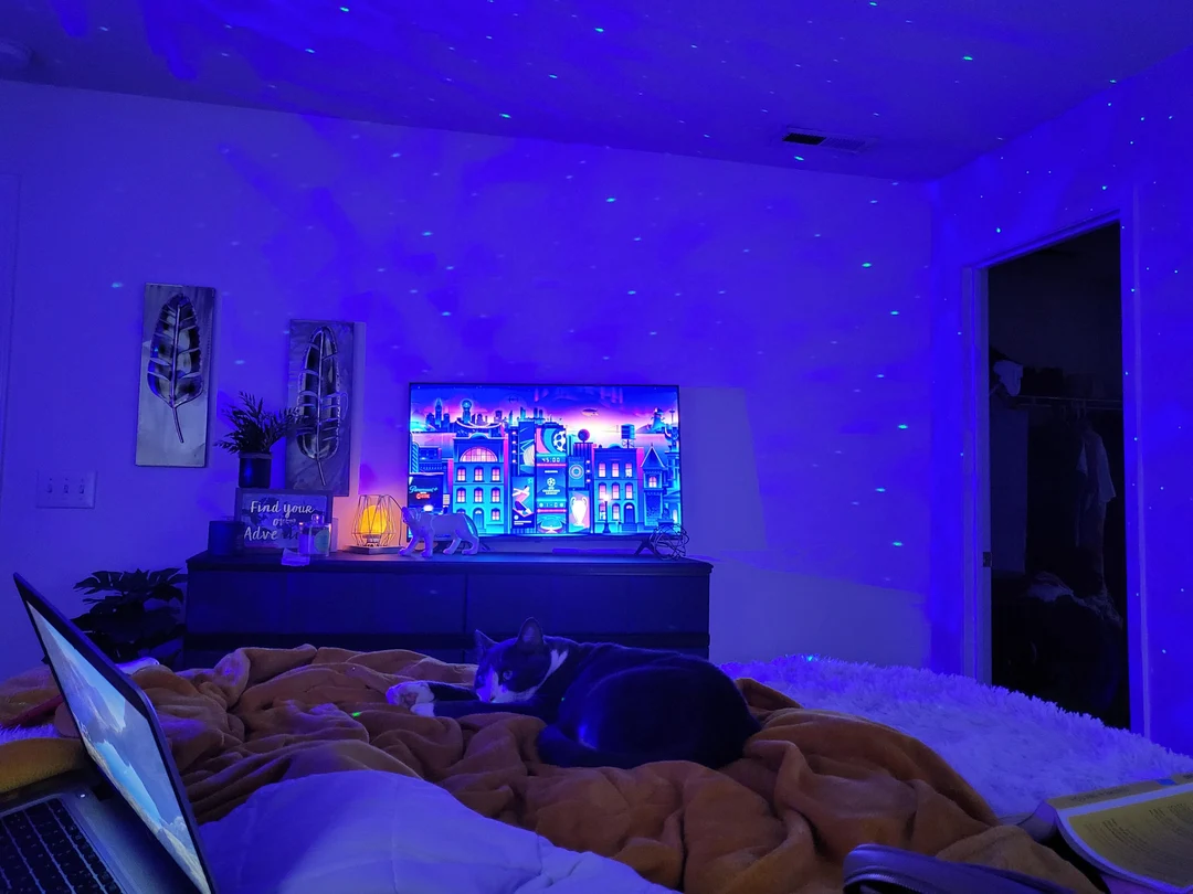 Friday night plans | Scrolller