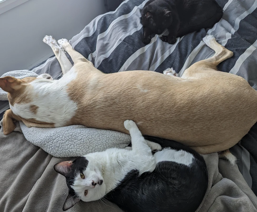 a warm hug | Scrolller