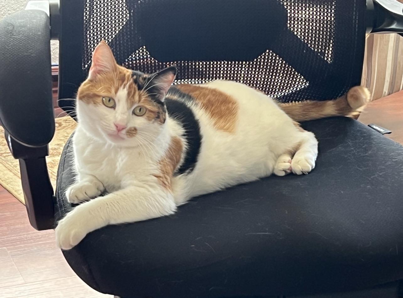 Ruminating on the day’s chores. | Scrolller