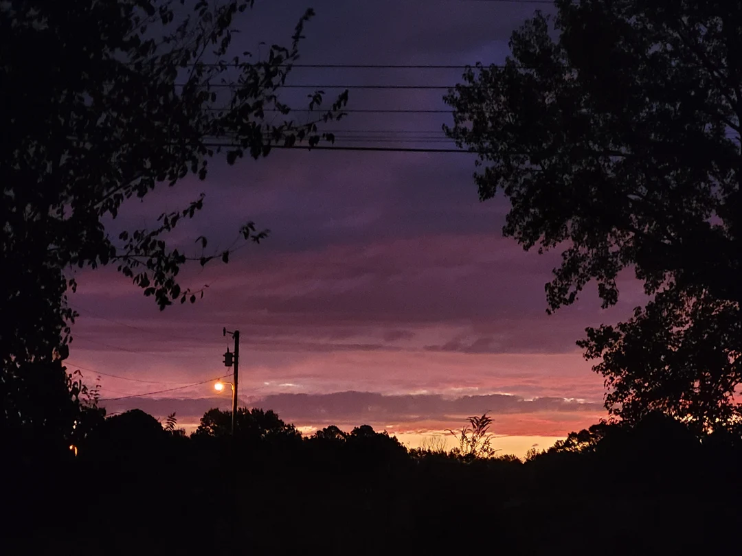 My front yard | Scrolller