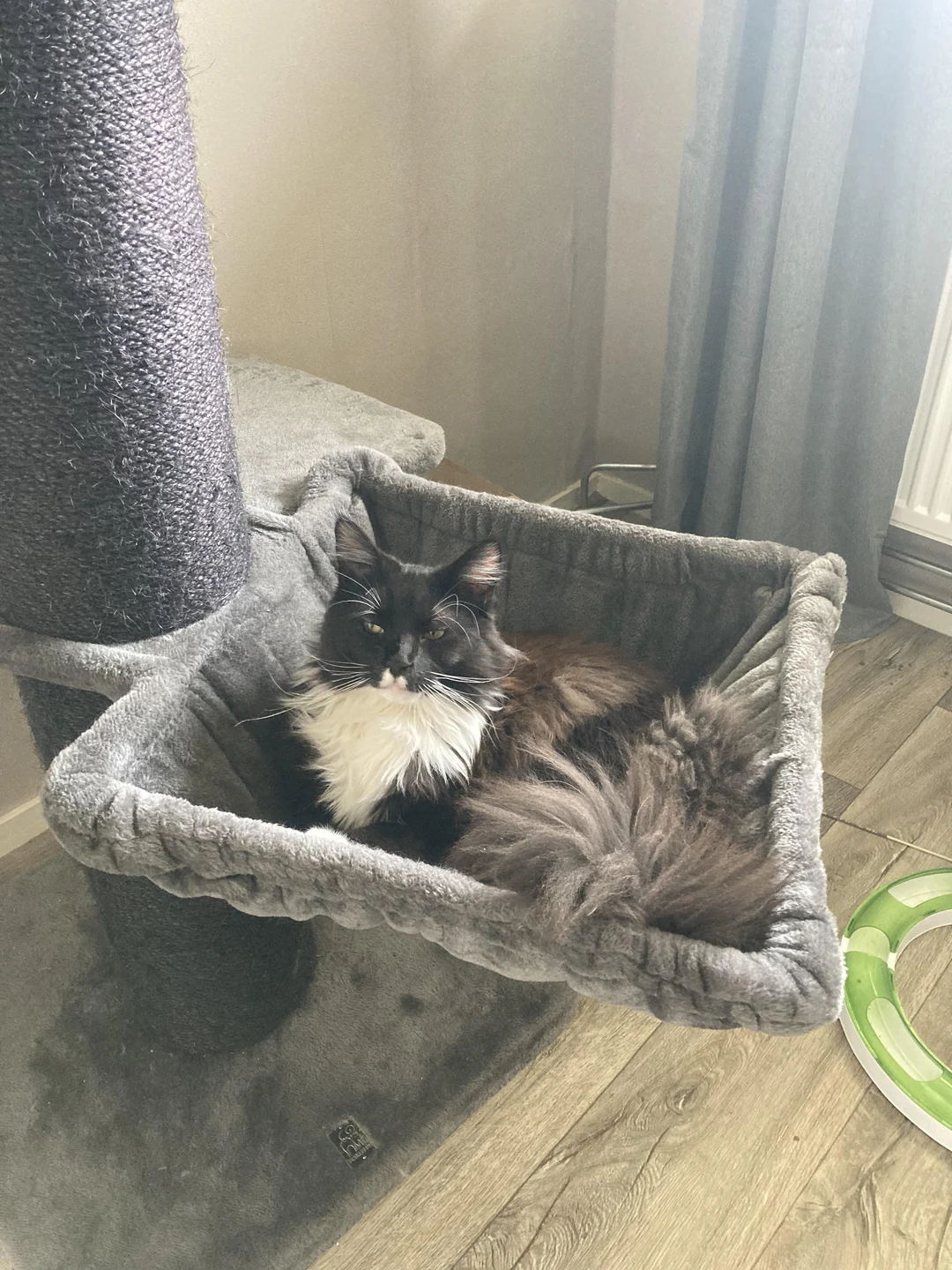 “Hammock” time | Scrolller