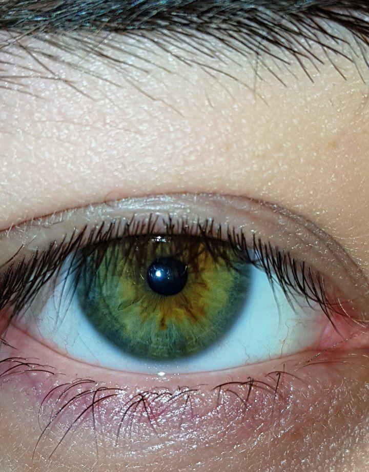 Is this what you call hazel? | Scrolller