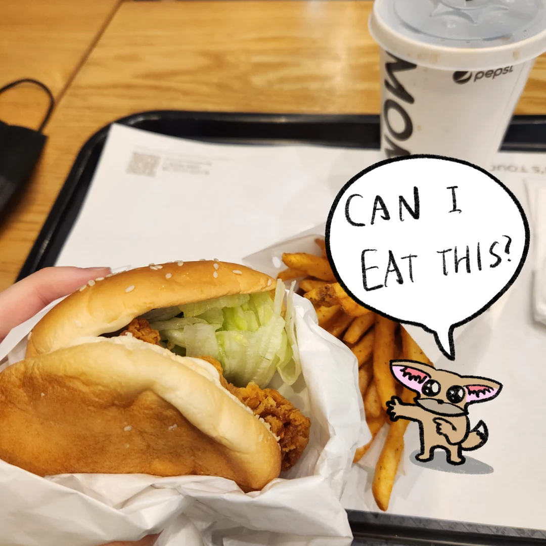 desert fox wants my burger. | Scrolller