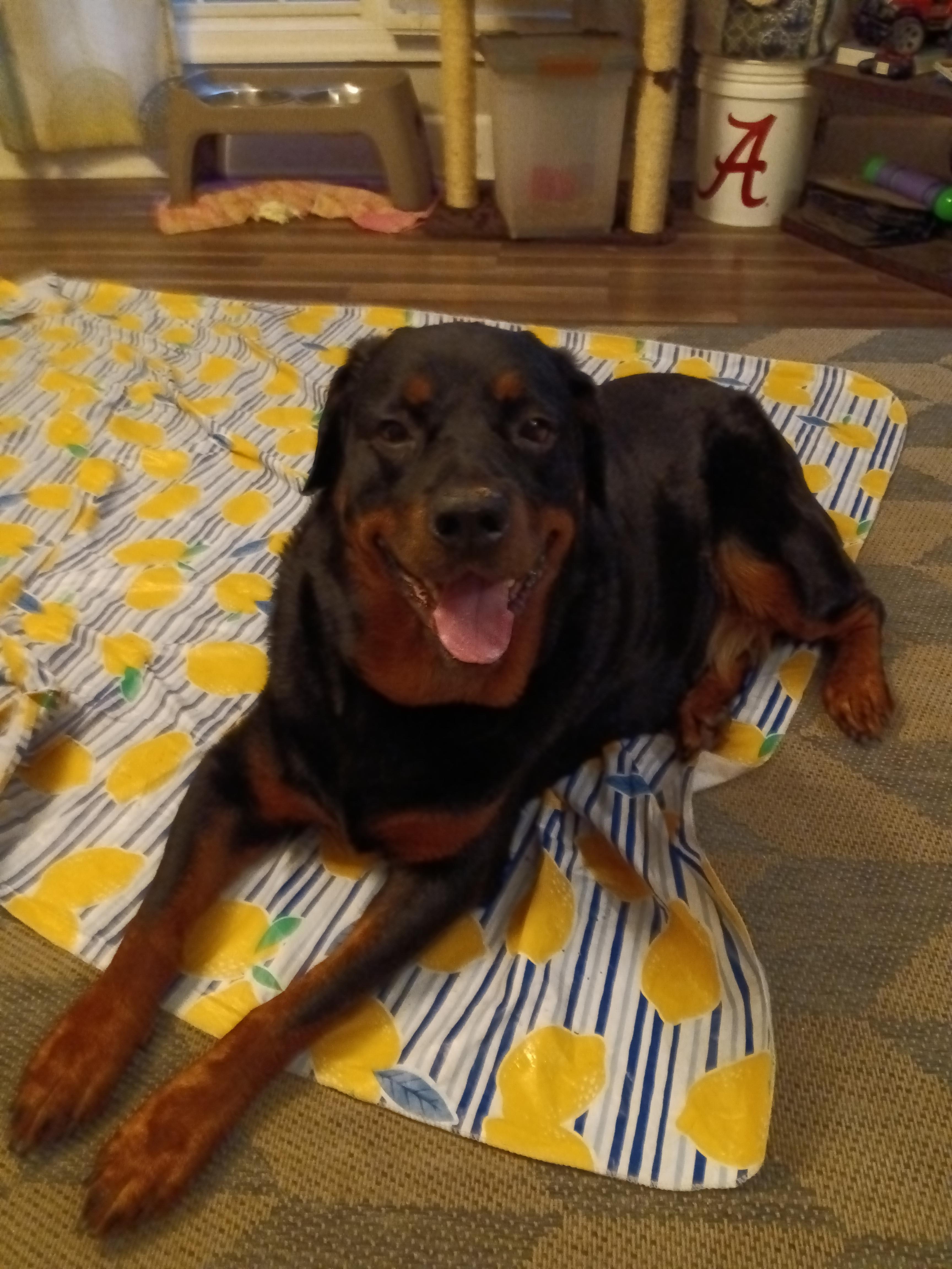 Hercules having a good laugh | Scrolller