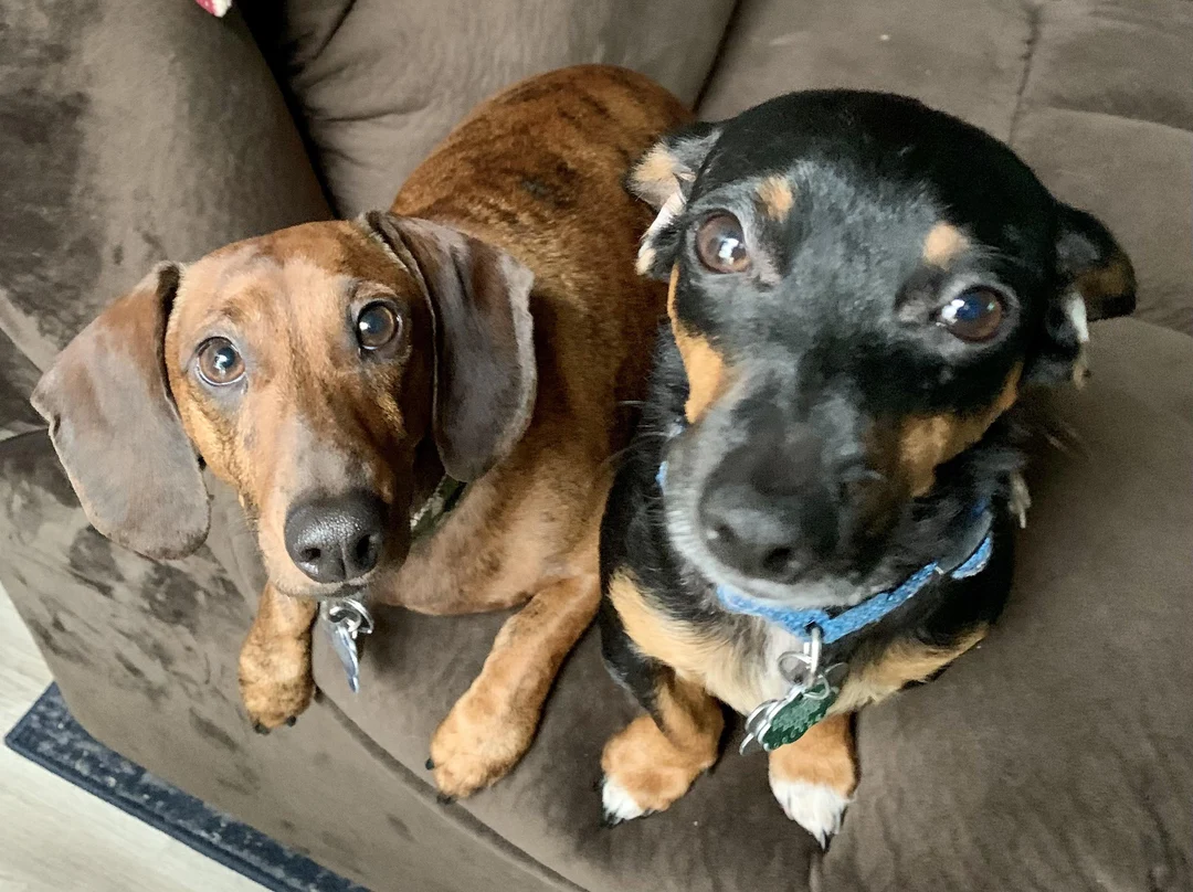 unsophisticated innocence. | Scrolller