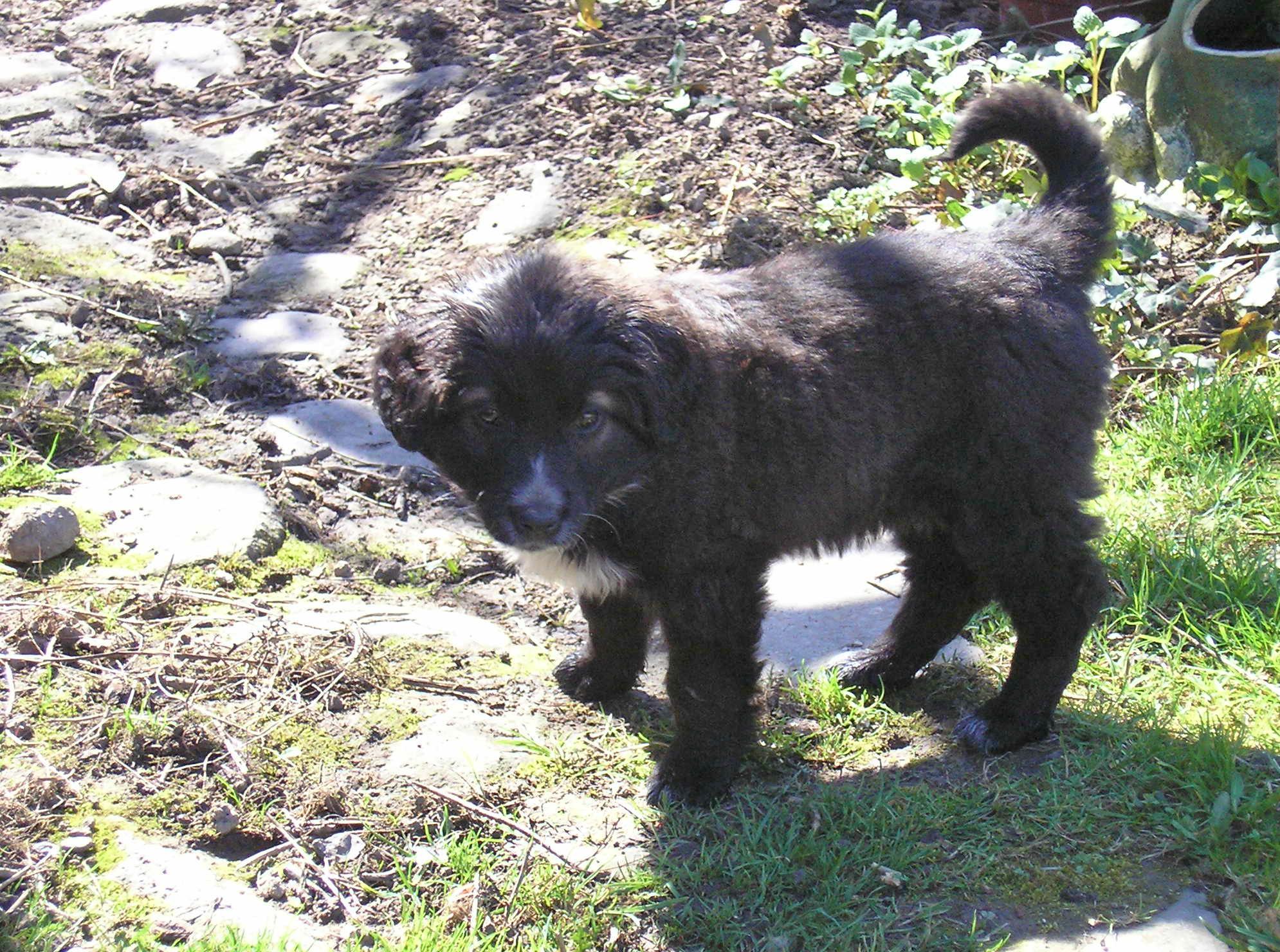 Discover more like Aww: Our newest family member. [OC] and Related Content | Scrolller