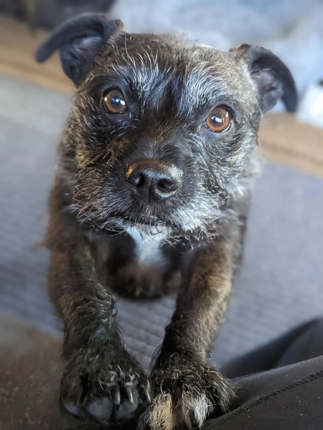 Henrick AKA Hank. | Scrolller