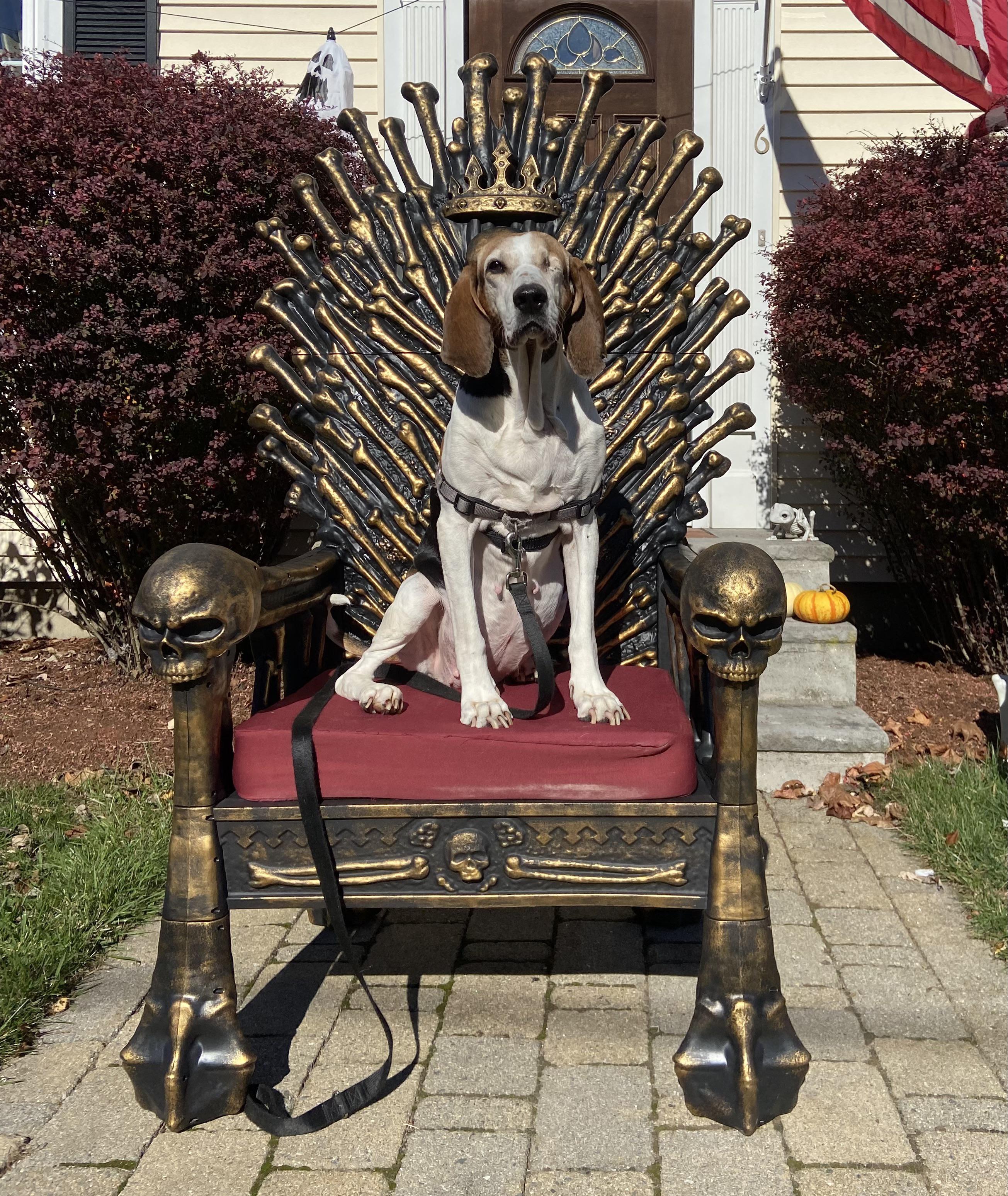 Game of Bones | Scrolller