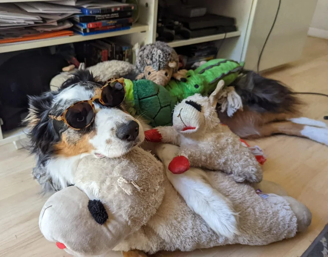 pure decadence | Scrolller