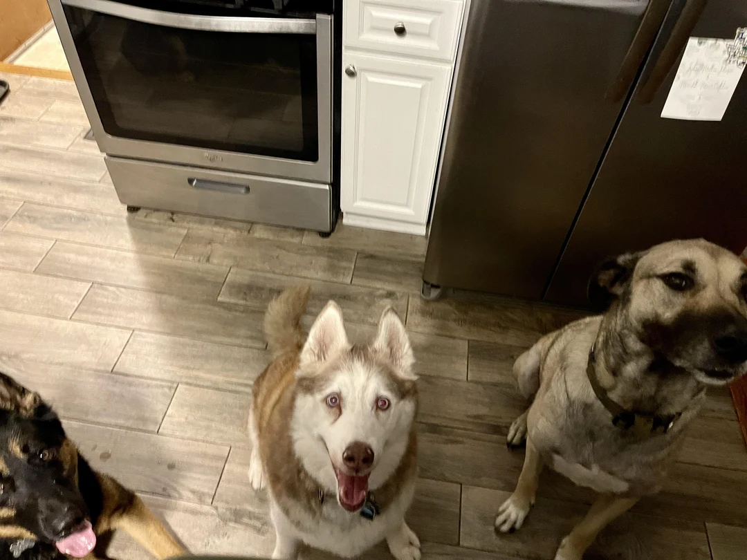 My boy Ed flanked by his security detail, Fritz and Hot Daniel | Scrolller