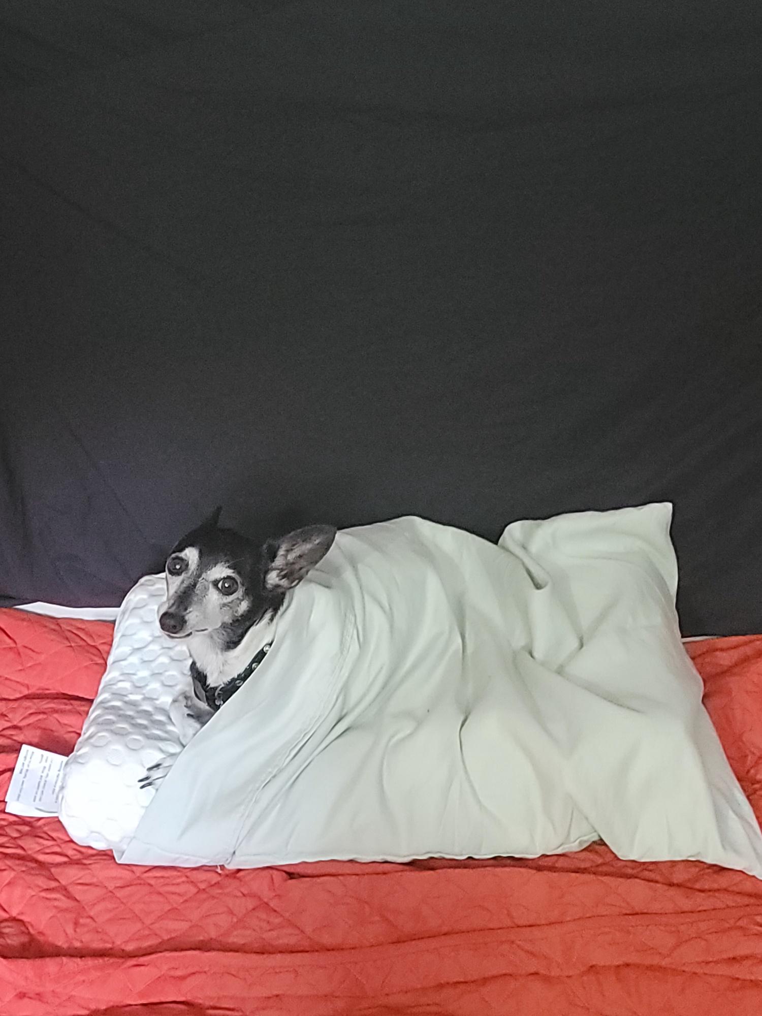 She decided to make her own sleeping bag. | Scrolller